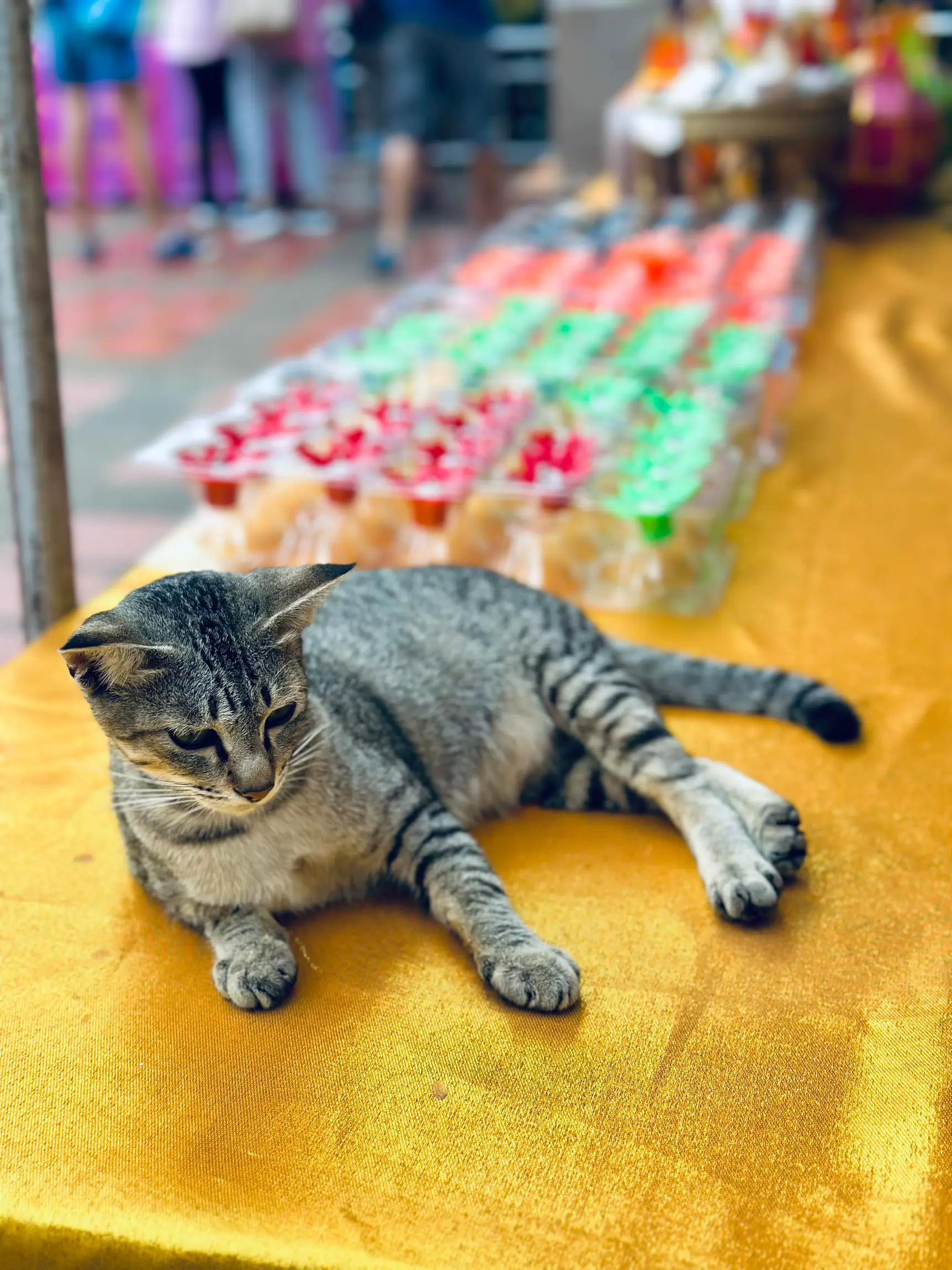 ทำบุญ ไหว้พระ เสริมศิริมงคลต้อนรับปี 67 EP1 | แกลเลอรีที่โพสต์โดย JibbJibb_Sumaru | Lemon8