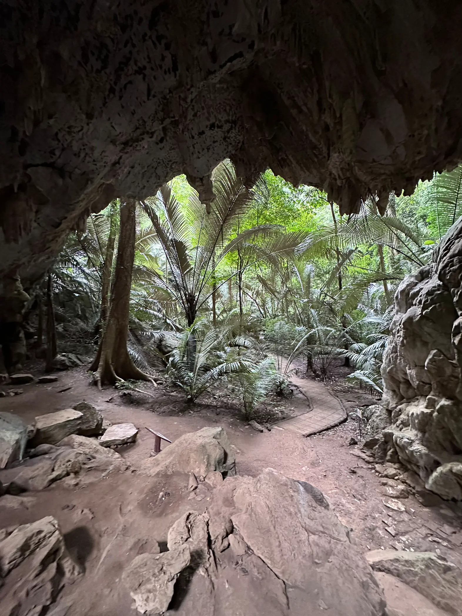 หุบป่าตาด | แกลเลอรีที่โพสต์โดย Ammy Amp | Lemon8