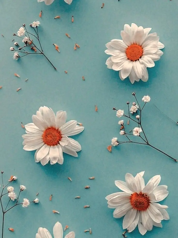 แจกฟรี ! Cute Wallpapers น่ารักๆ | แกลเลอรีที่โพสต์โดย Motto Omuto | Lemon8