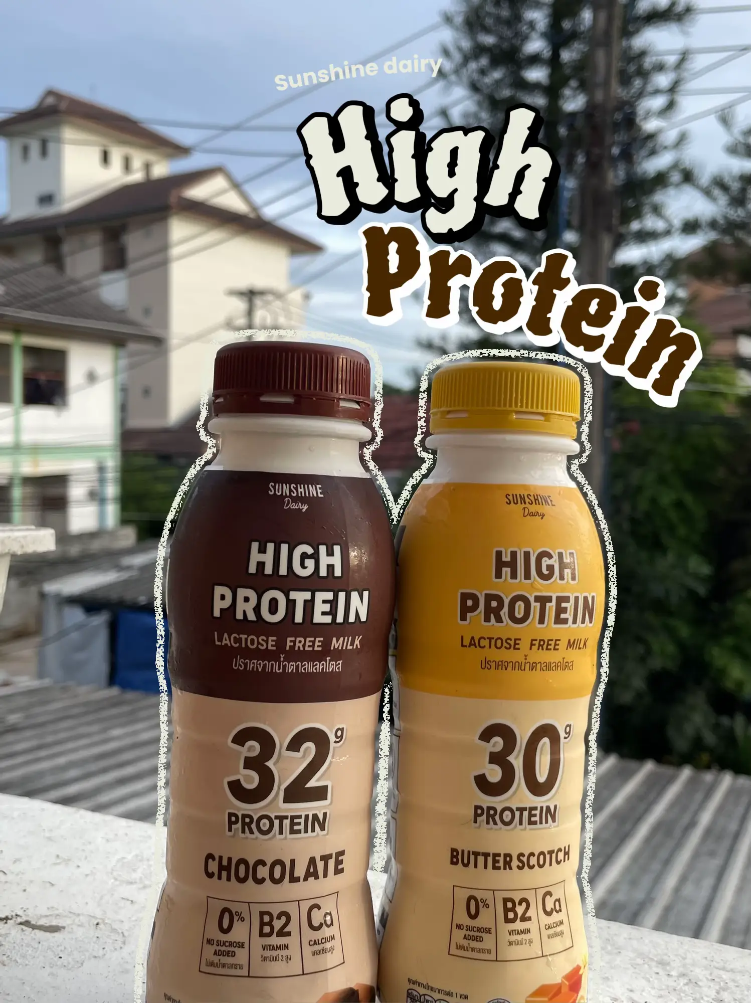 Sunshine dairy 🥛นมแลคโตสฟรีโปรตีนสูงง⬆️ | แกลเลอรีที่โพสต์โดย วันนี้จะ ...