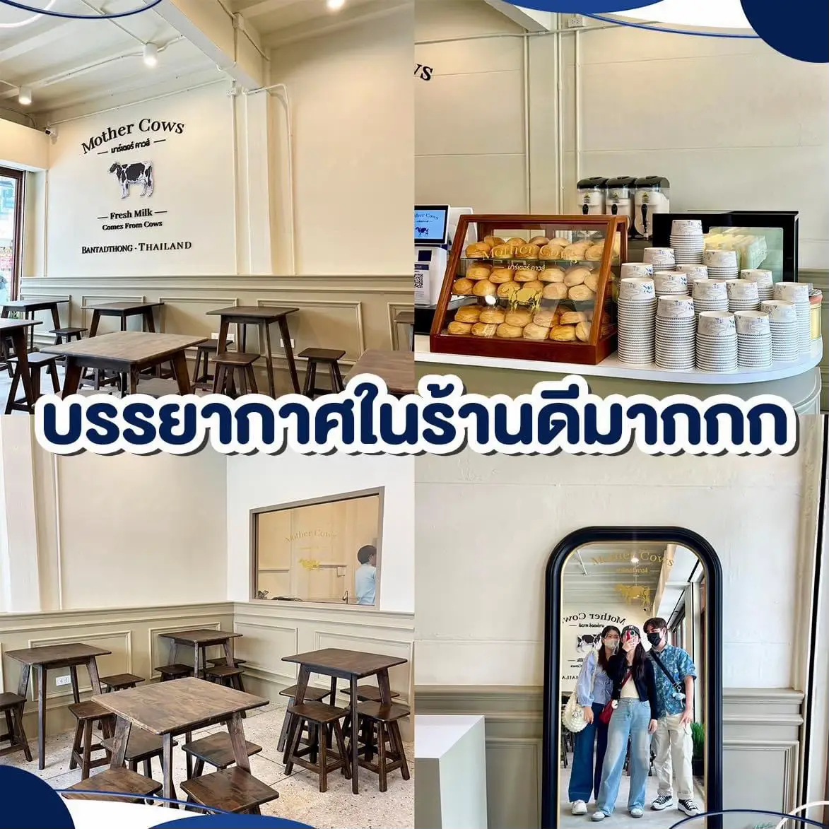 🐄 Mother Cow บุกบรรทัดทองแล้วว | แกลเลอรีที่โพสต์โดย ติดโปร | Lemon8