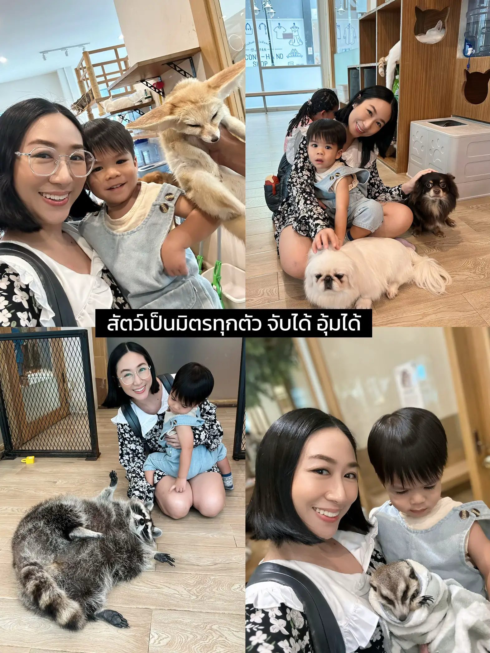 Little Zoo Cafe คาเฟ่สัตว์อ่อนนุช | แกลเลอรีที่โพสต์โดย ป๋อว่าดีย์ | Lemon8