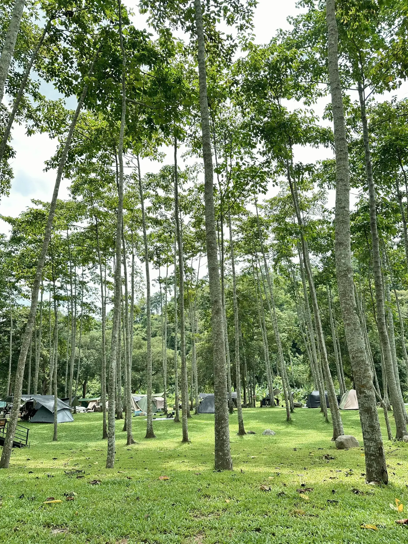 🏕️ NA-WANA (ณ วนา) อ.ชะอม จ.สระบุรี สายแคมป์ต้องมา! | แกลเลอรีที่โพสต์ ...