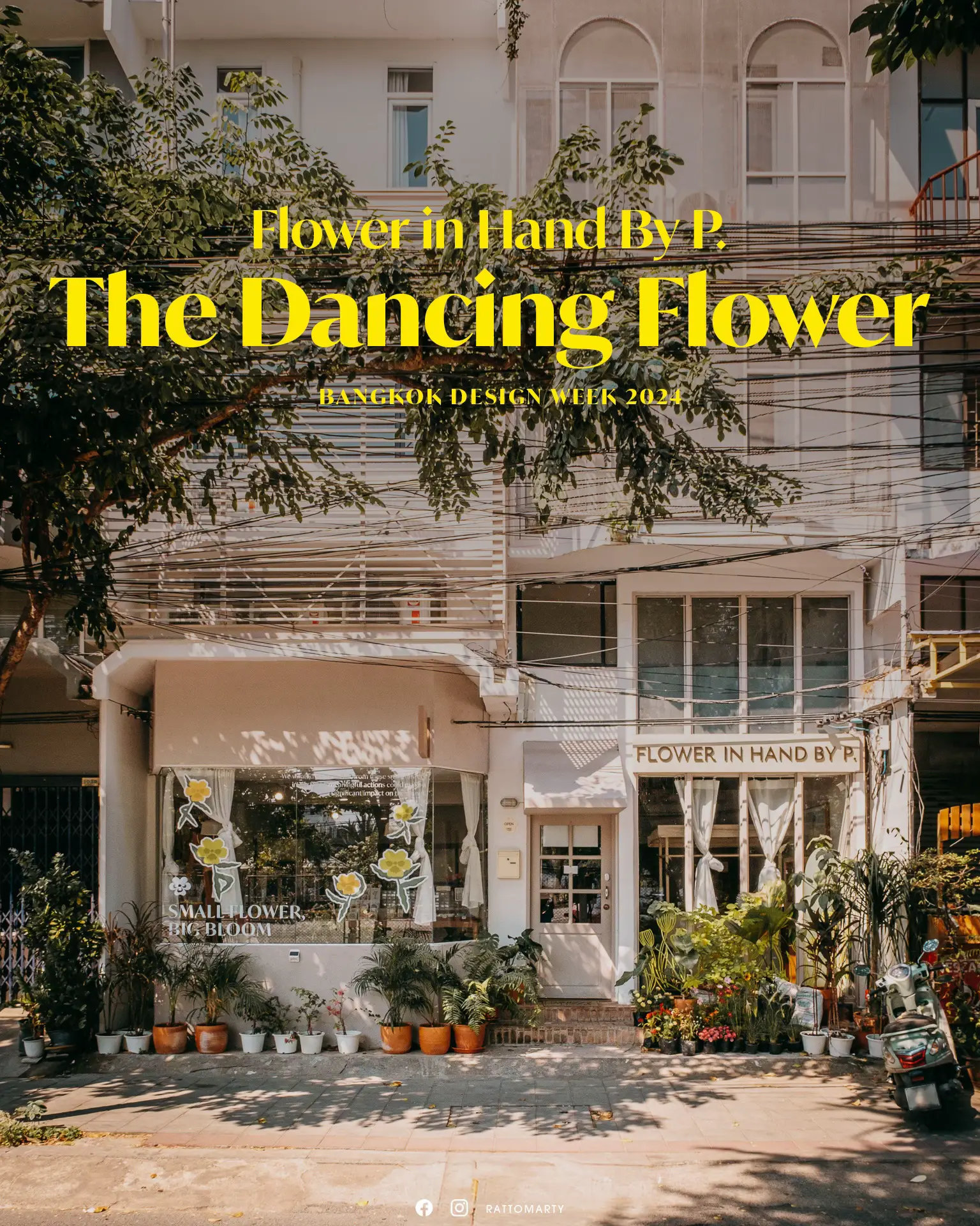 The Dancing Flower Dancing With Flower In Hand By P | Gallery posted by ...