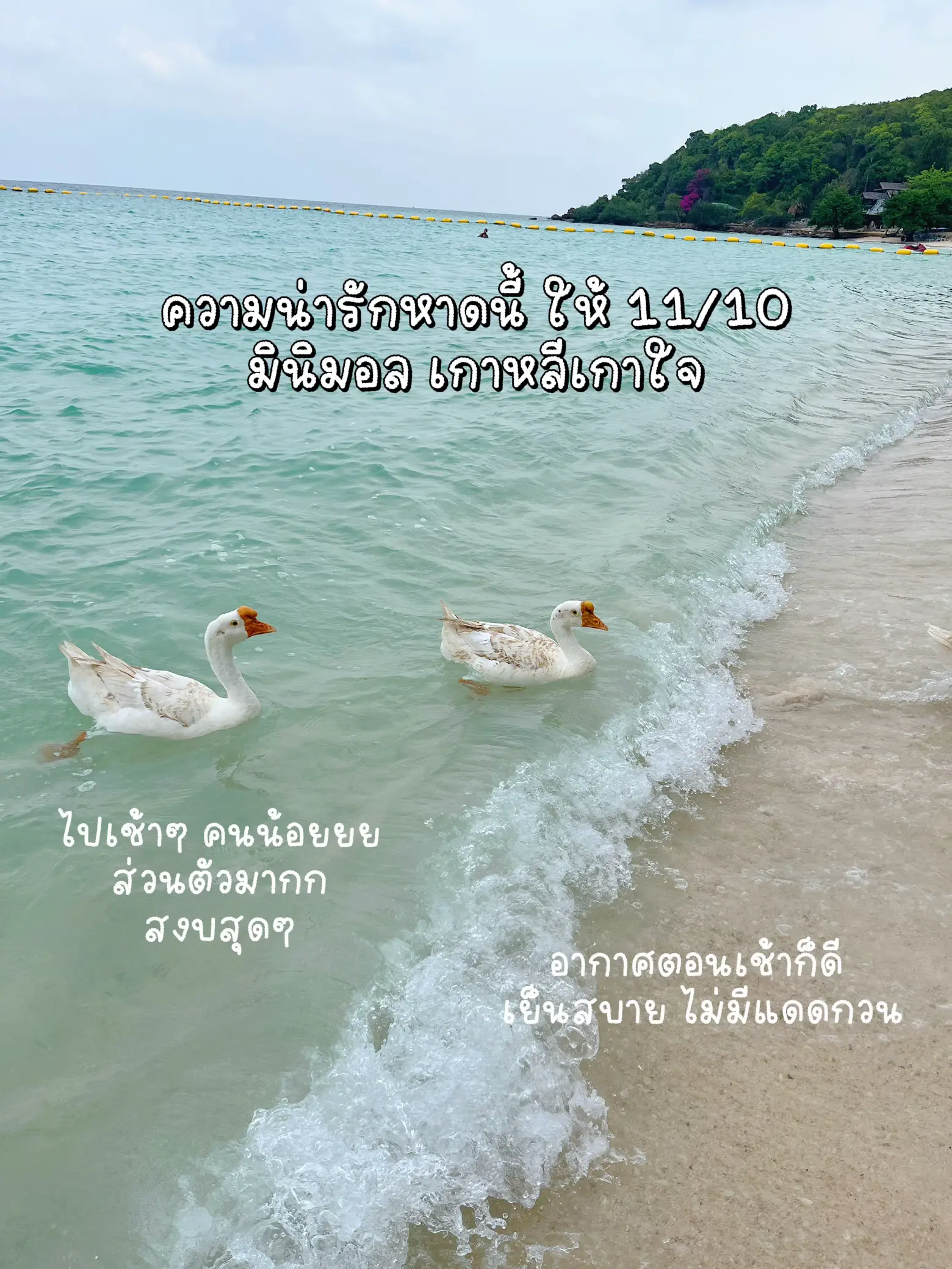 หาดเทียน เกาะล้าน | แกลเลอรีที่โพสต์โดย aumnuntita 🥑🥓 | Lemon8