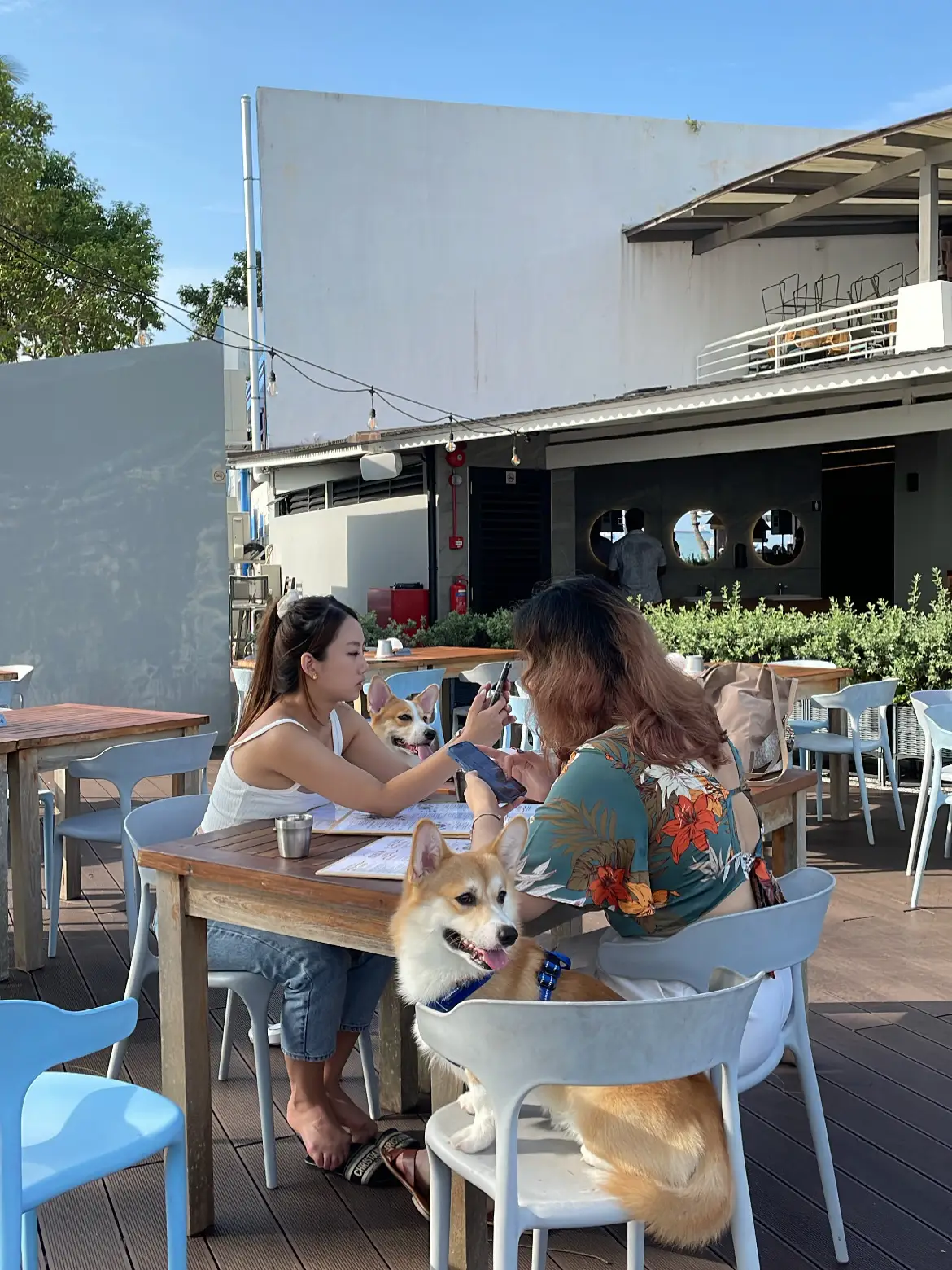 Pet Friendly Cafe with Amazing Vibes & Views | Gallery posted by lyddie | Lemon8