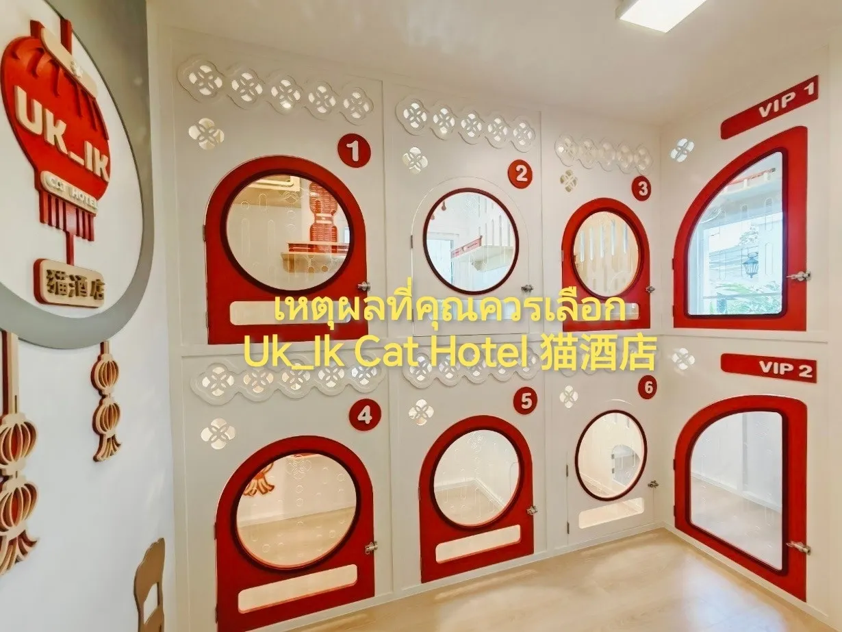 โรงแรมแมวอุคอิค Uk_Ik Cat Hotel 猫酒店 | แกลเลอรีที่โพสต์โดย Takashi Judo ...