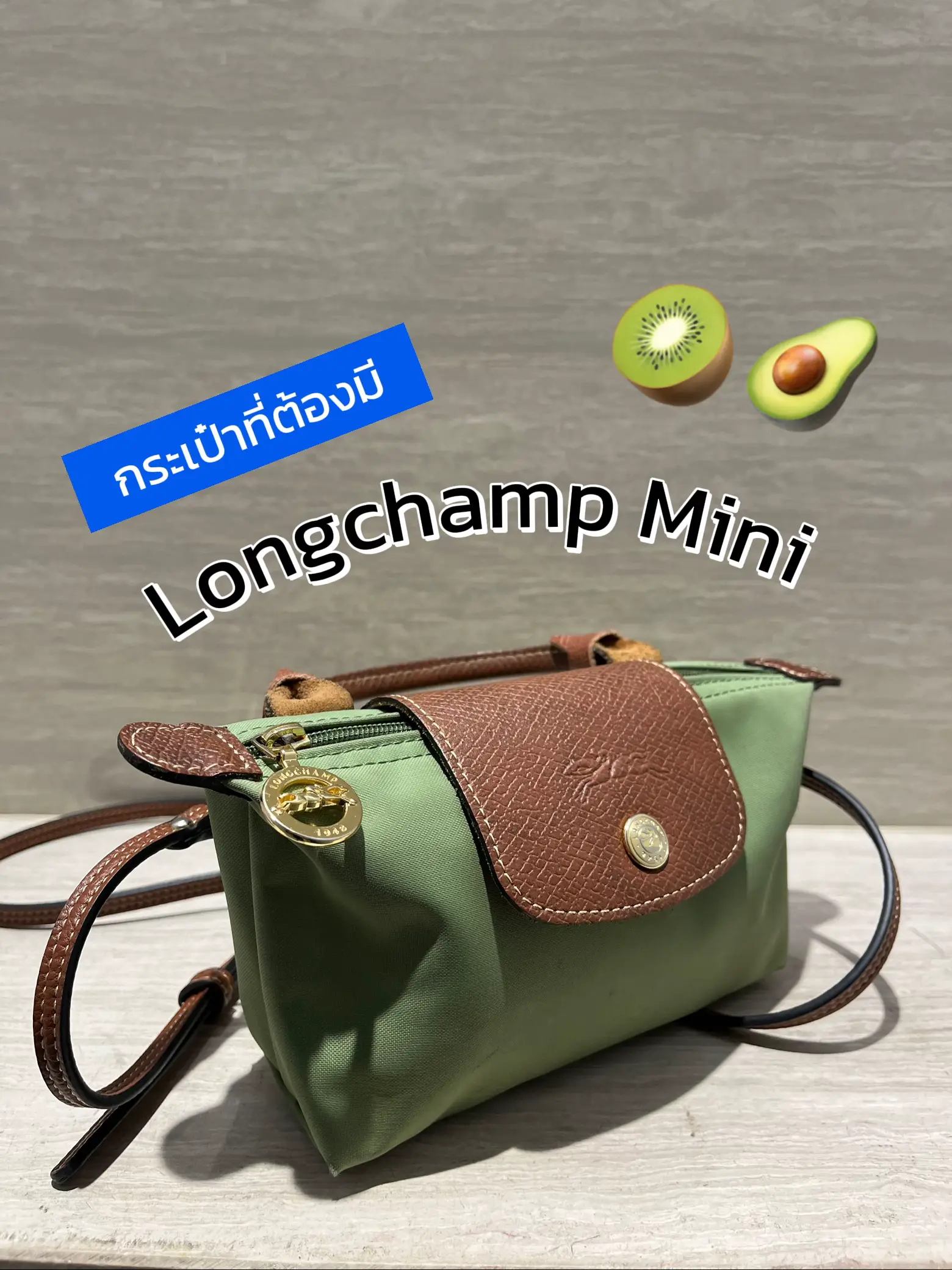 longchamp mini ใบเล็กแต่จุมาก 🥝🥑 | แกลเลอรีที่โพสต์โดย ทริปนี้ไม่มีคุณ ...
