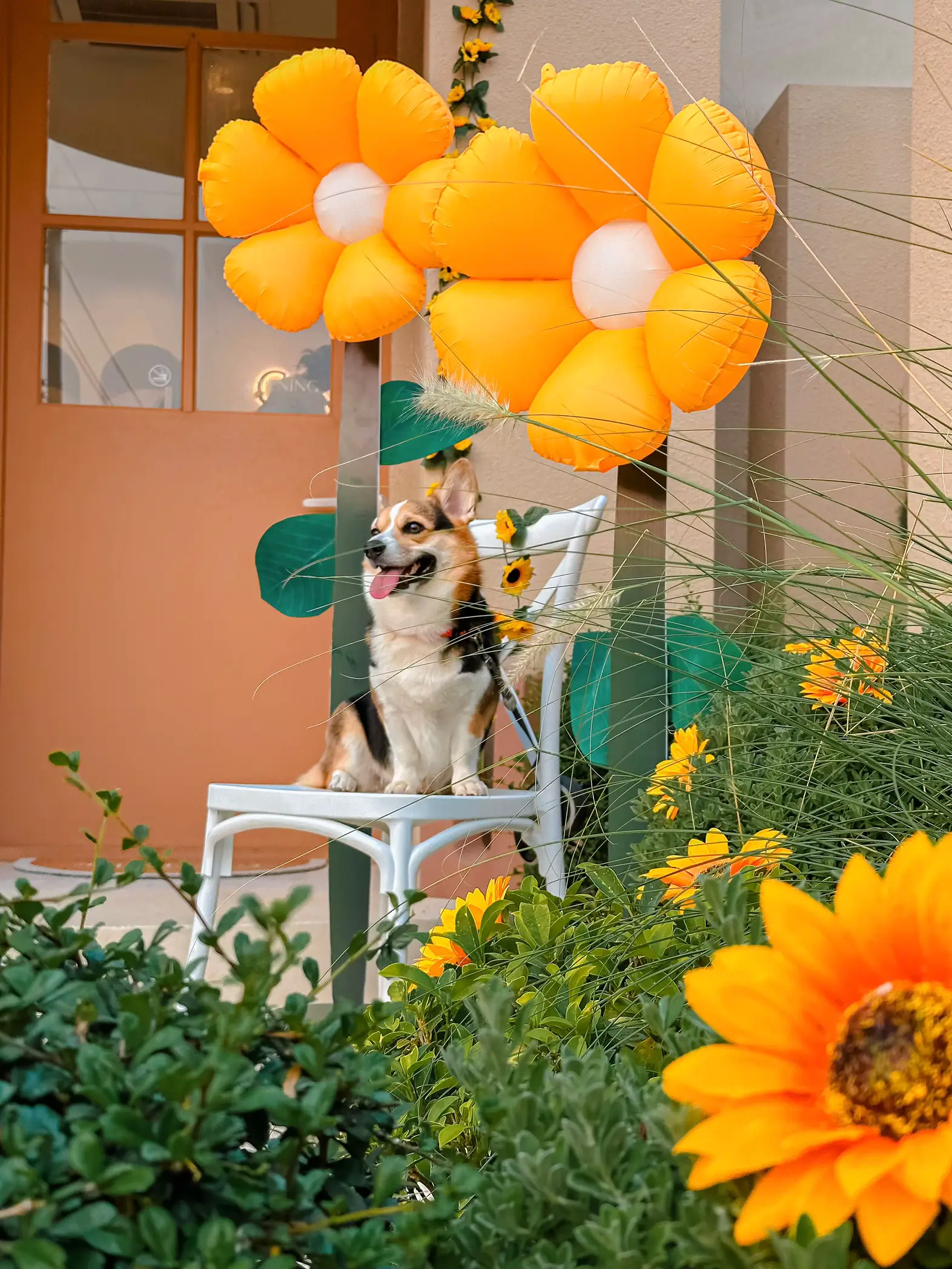 20 ไอเดียยอดนิยมเกี่ยวกับ คาเฟ่ตีมสงกรานต์ ในปี 2024