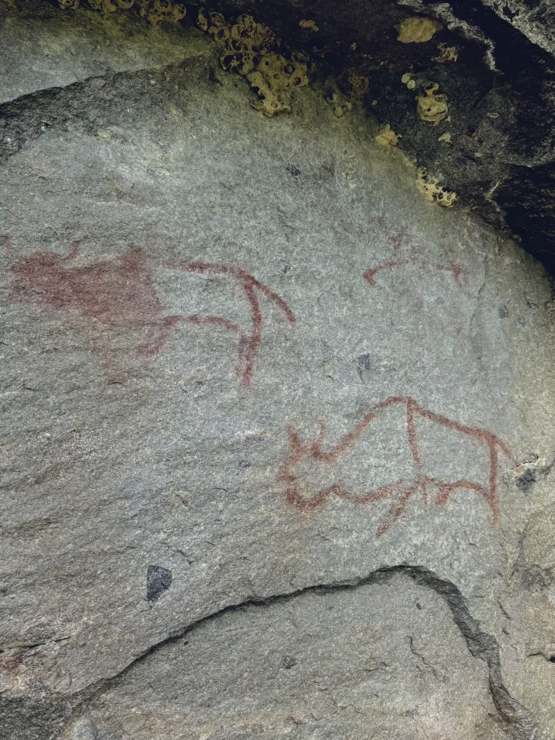 จบทริปนครนายก เจอกันใหม่ทริปหน้า | แกลเลอรีที่โพสต์โดย Supanida | Lemon8