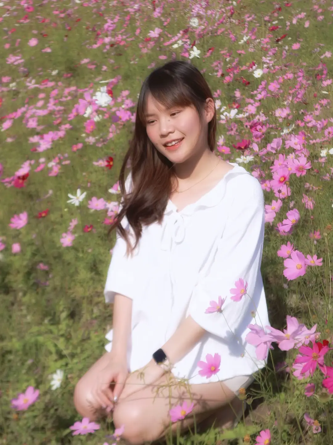 สวนคอสมอสละมุนนีสุบๆค้าบบ 🌸☁️🫶🏻 | แกลเลอรีที่โพสต์โดย Miu Miu | Lemon8