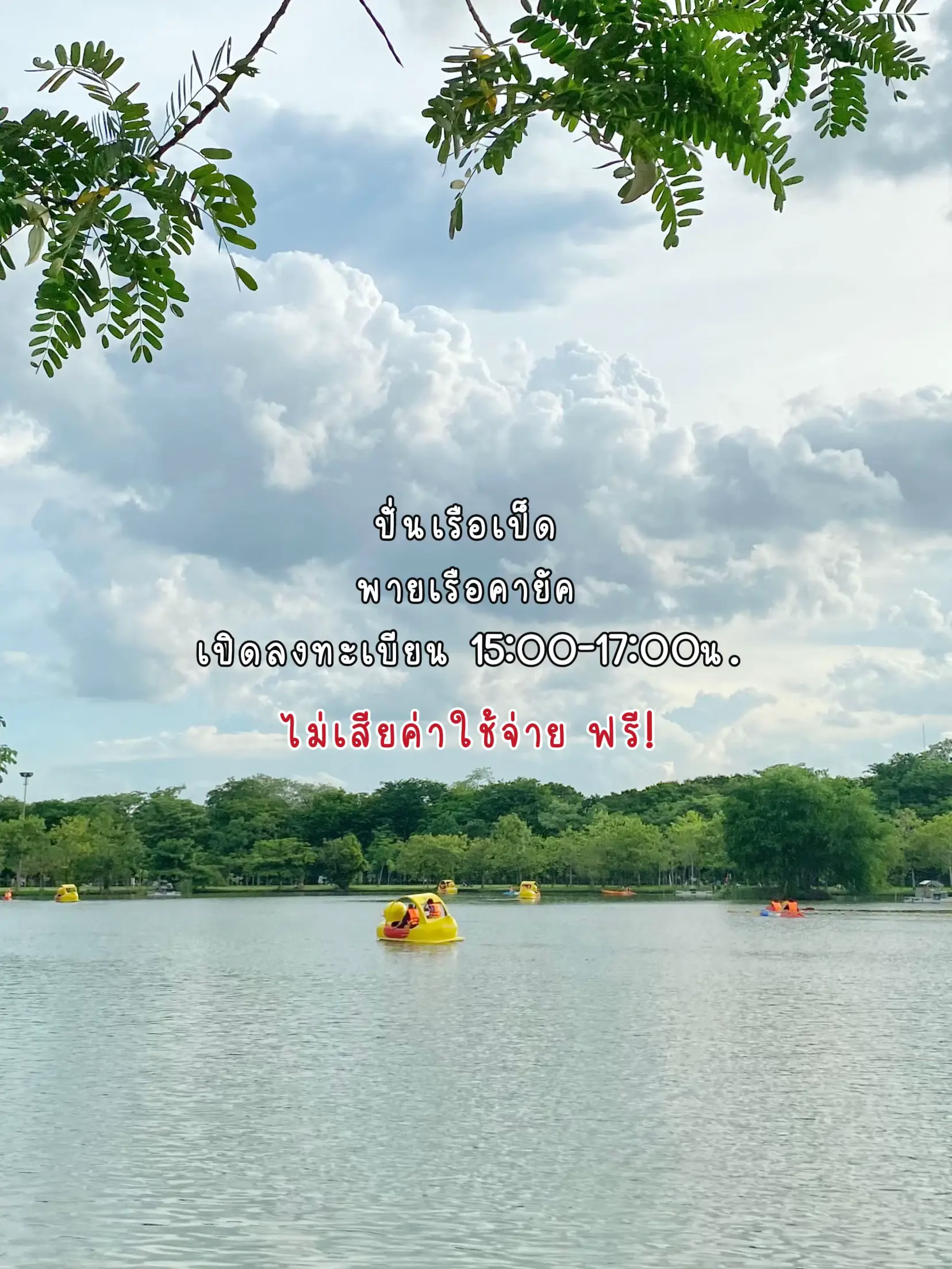 ONE DAY TRIP | สวนรถไฟ (สวนวชิรเบญจทัศ)🌳🍃🌼🌤️🚲💕 | แกลเลอรีที่โพสต์โดย Nuk Nuknik | Lemon8