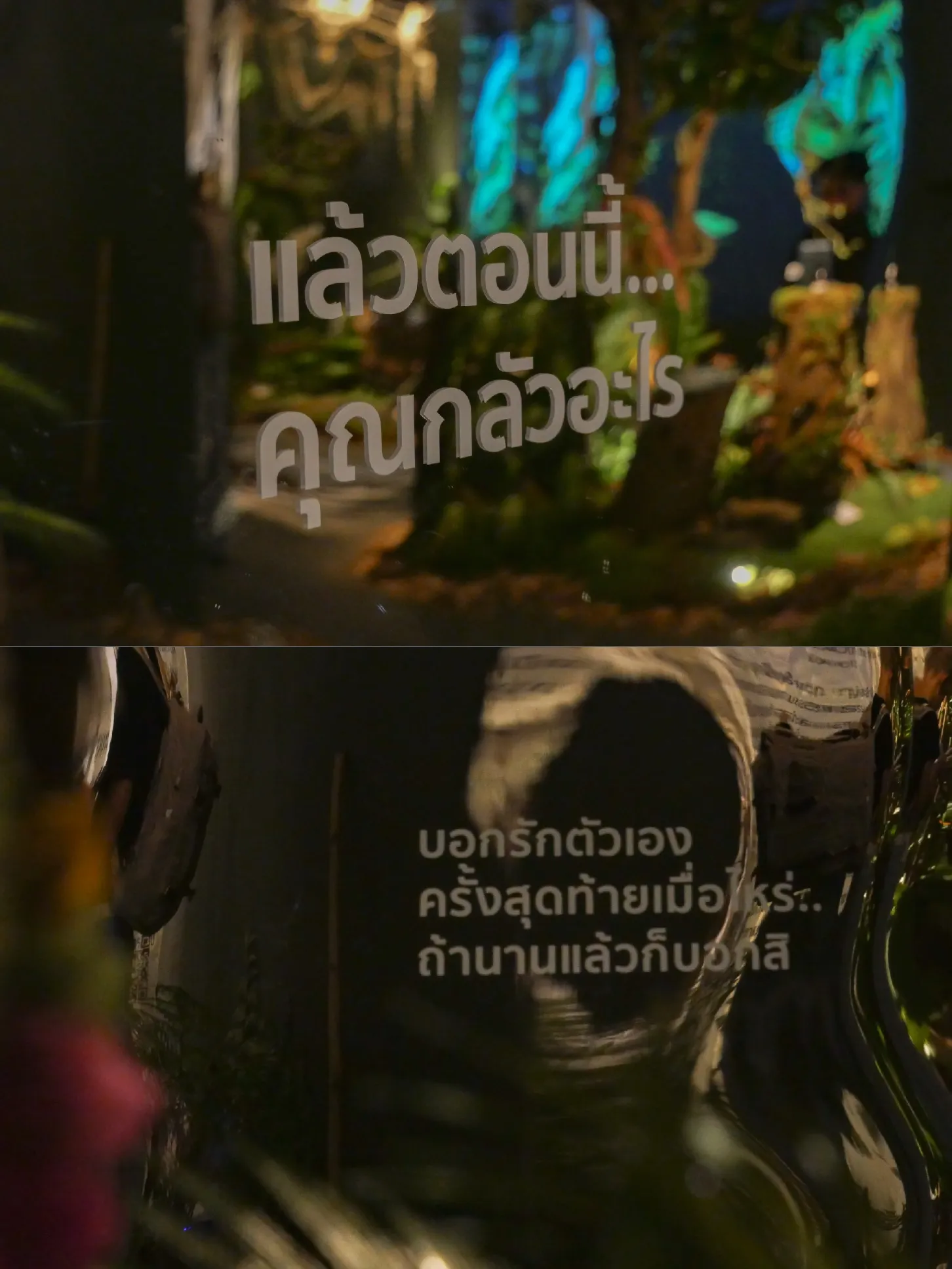 Forest Scent - Unveil Your Mystery ป่า และ น้ำหอม | แกลเลอรีที่โพสต์โดย Insomnia Scene | Lemon8