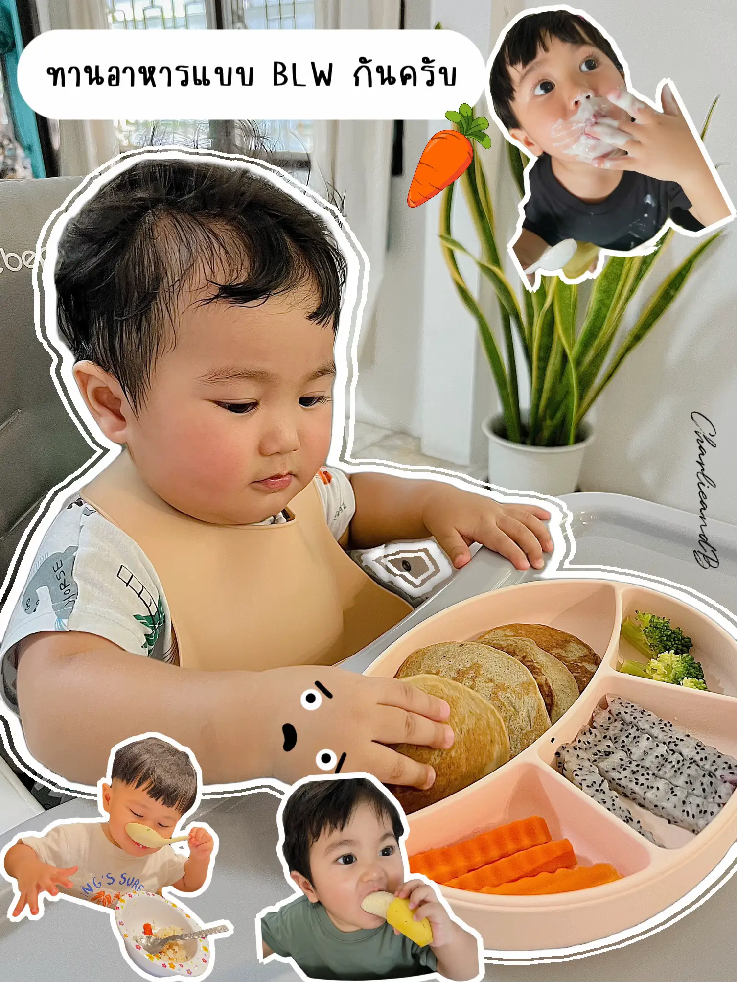 มาทานอาหารแบบ BLW กันครับ | แกลเลอรีที่โพสต์โดย Charlie and B | Lemon8