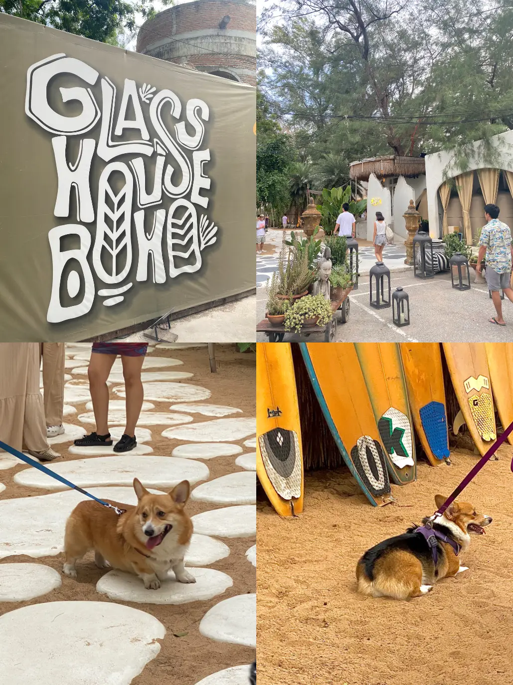 The Glass House Boho ร้านชิลริมทะเลวิวพระอาทิตย์ตก พัทยา | แกลเลอรีที่ ...