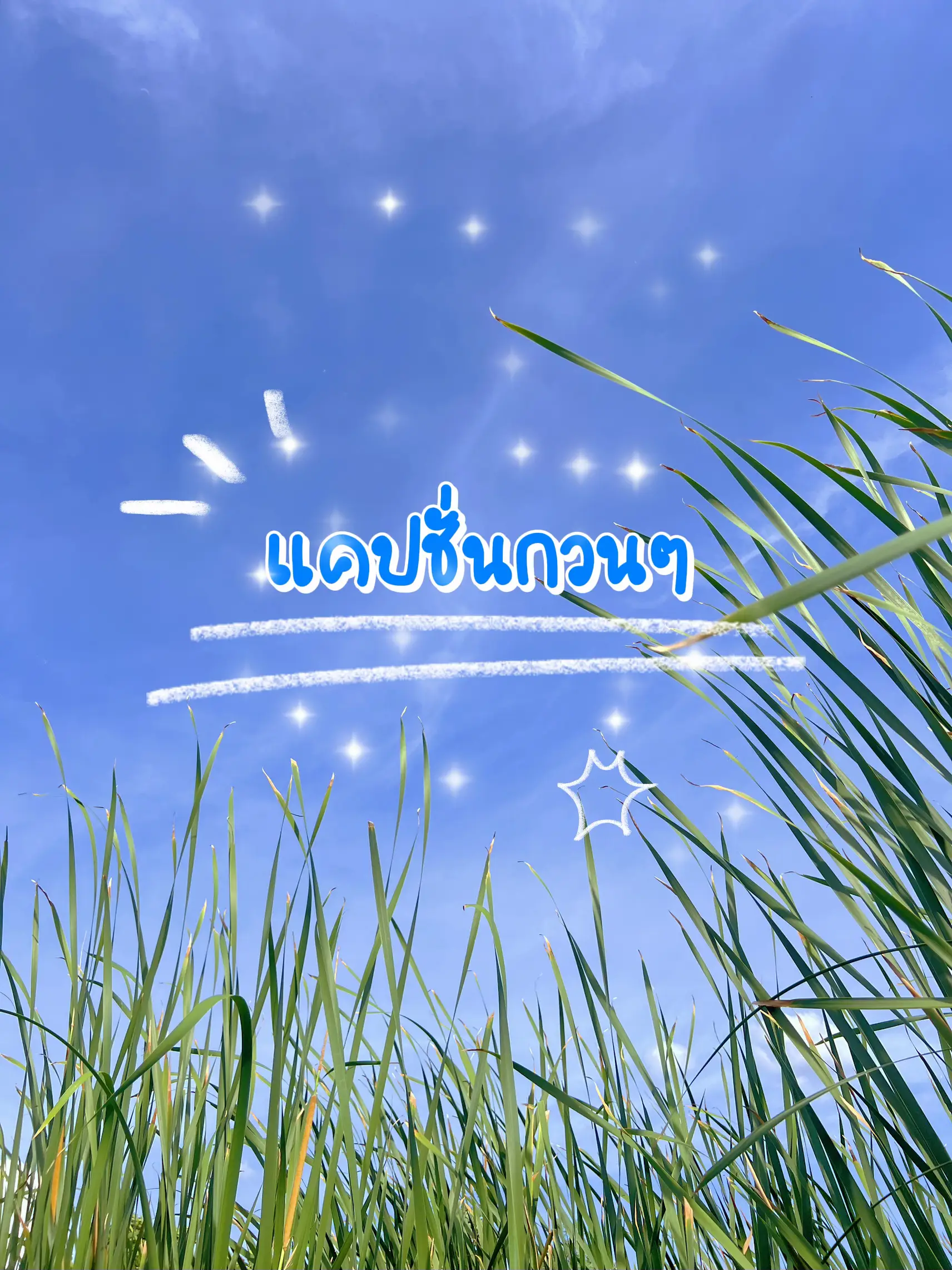 รวมคำคม แคปชั่นกวนๆ 😆😎 | แกลเลอรีที่โพสต์โดย Font Kancha | Lemon8