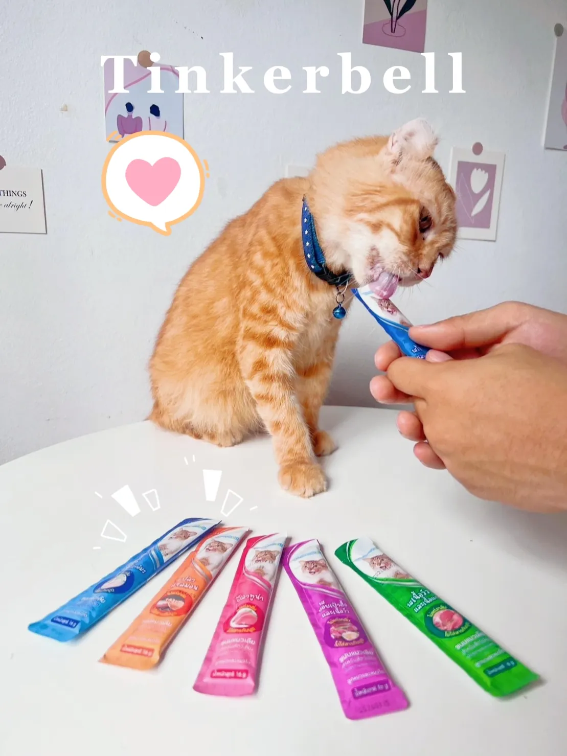 Tinkerbell #ขนมแมวเลียแบบใหม่แบบสับ👍 ️ ️ | แกลเลอรีที่โพสต์โดย Nook Jacob | Lemon8