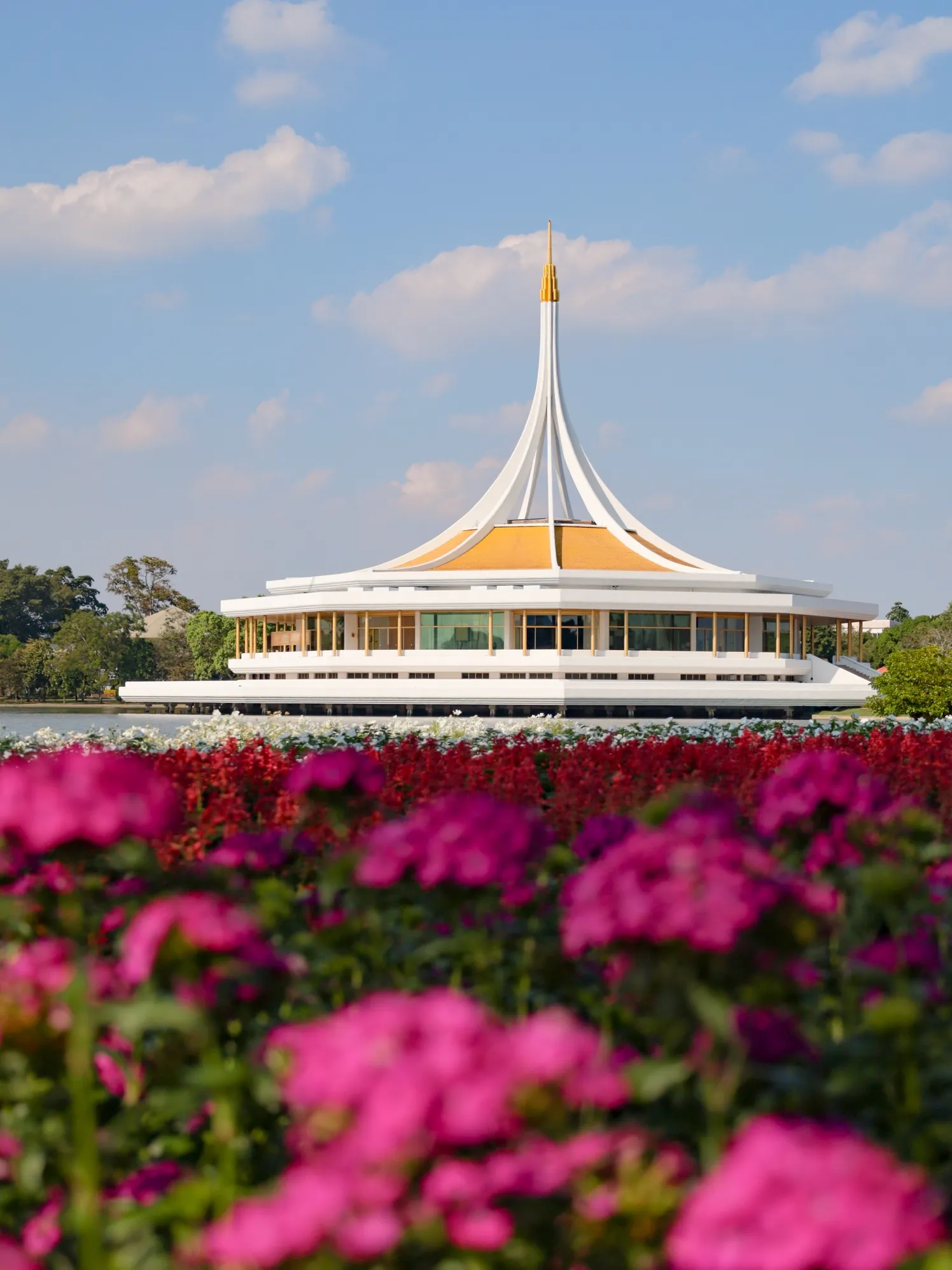 อัพเดตสวนดอกไม้ที่สวนหลวง ร.9 (2567) | แกลเลอรีที่โพสต์โดย Jubarsdairy | Lemon8