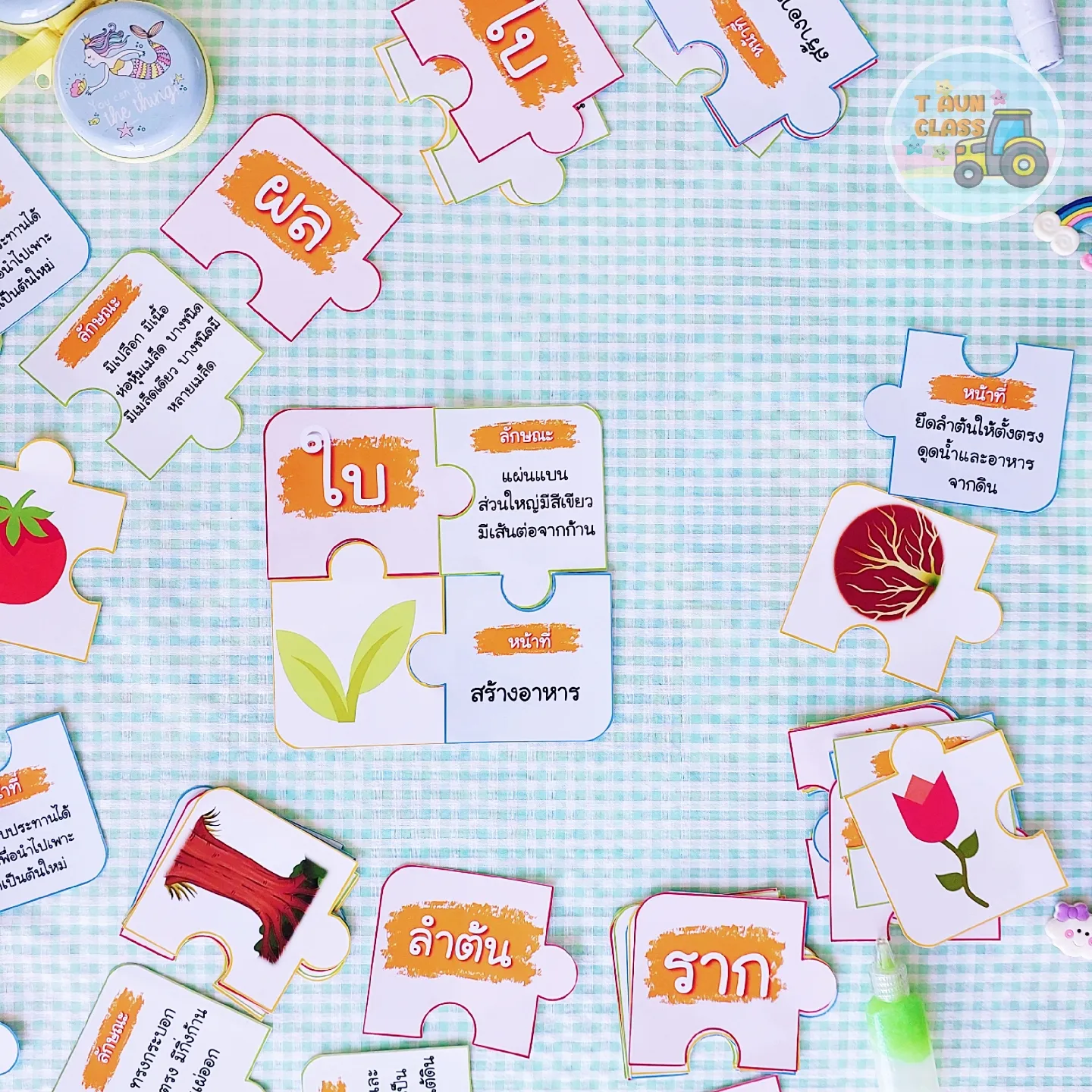 🌷จิ๊กซอว์ส่วนประกอบพืช | แกลเลอรีที่โพสต์โดย T Aun Class | Lemon8