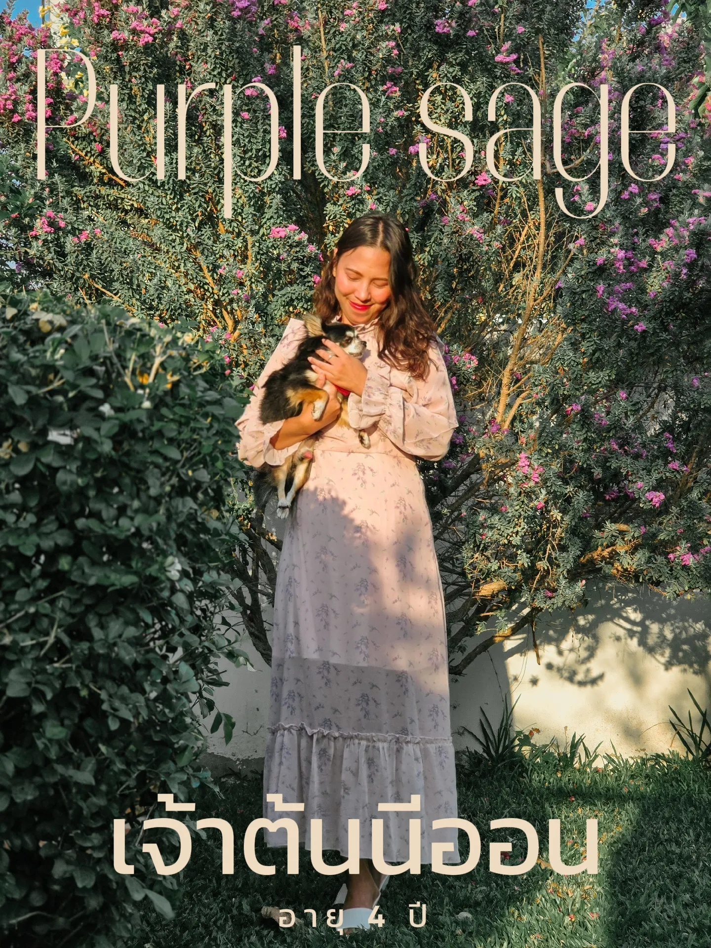 ต้นนีออน มุมถ่ายรูปสวยๆ ในสวน ที่บ้าน | แกลเลอรีที่โพสต์โดย Just_Jib | Lemon8