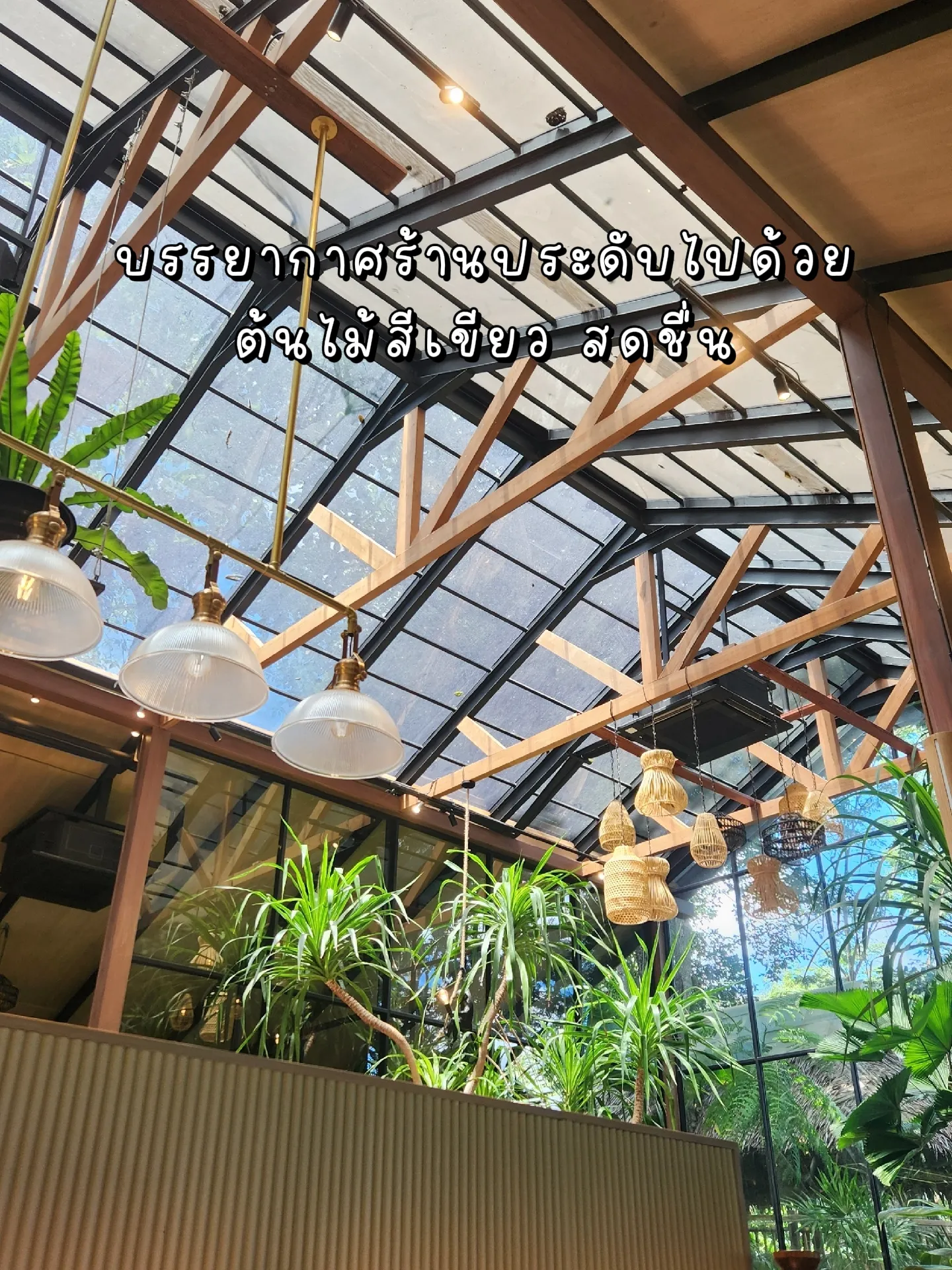 Baboon cafe Phuket คาเฟ่กลาสเฮ้า ท่ามกลางป่า | แกลเลอรีที่โพสต์โดย Ar ...