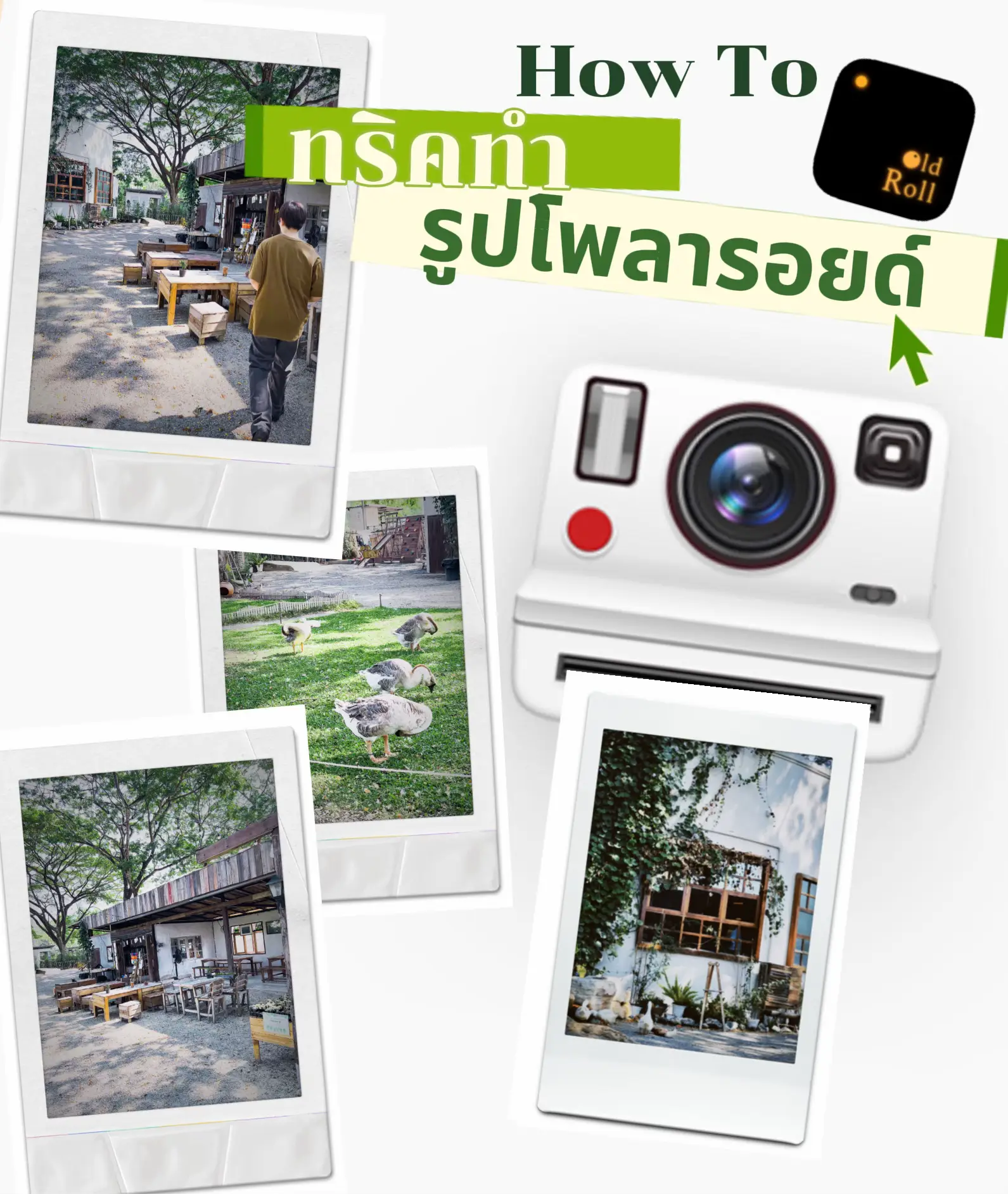 How to : ทริคทำรูปโพลารอยด์ - แอป Old Roll | แกลเลอรีที่โพสต์โดย ...