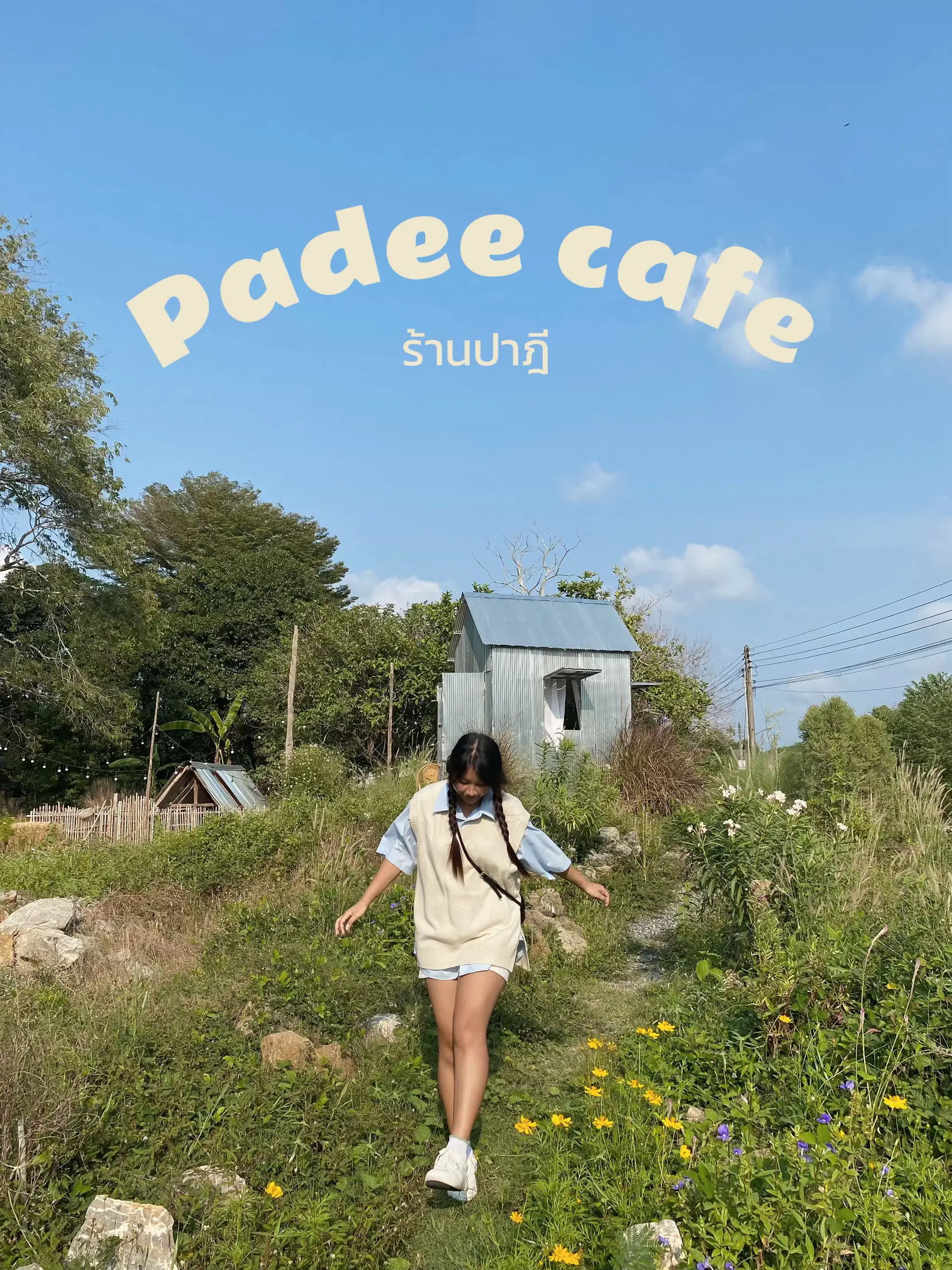 Padee in the wild | แกลเลอรีที่โพสต์โดย Nuice | Lemon8