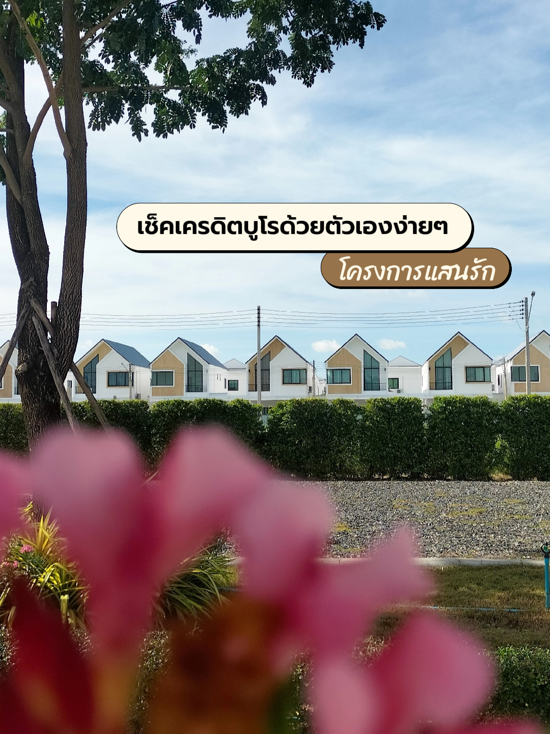 เช็กเครดิตบูโรผ่านออนไลน์ เช็กง่ายๆ | วิดีโอที่เผยแพร่โดย Mayy_Thanin | Lemon8
