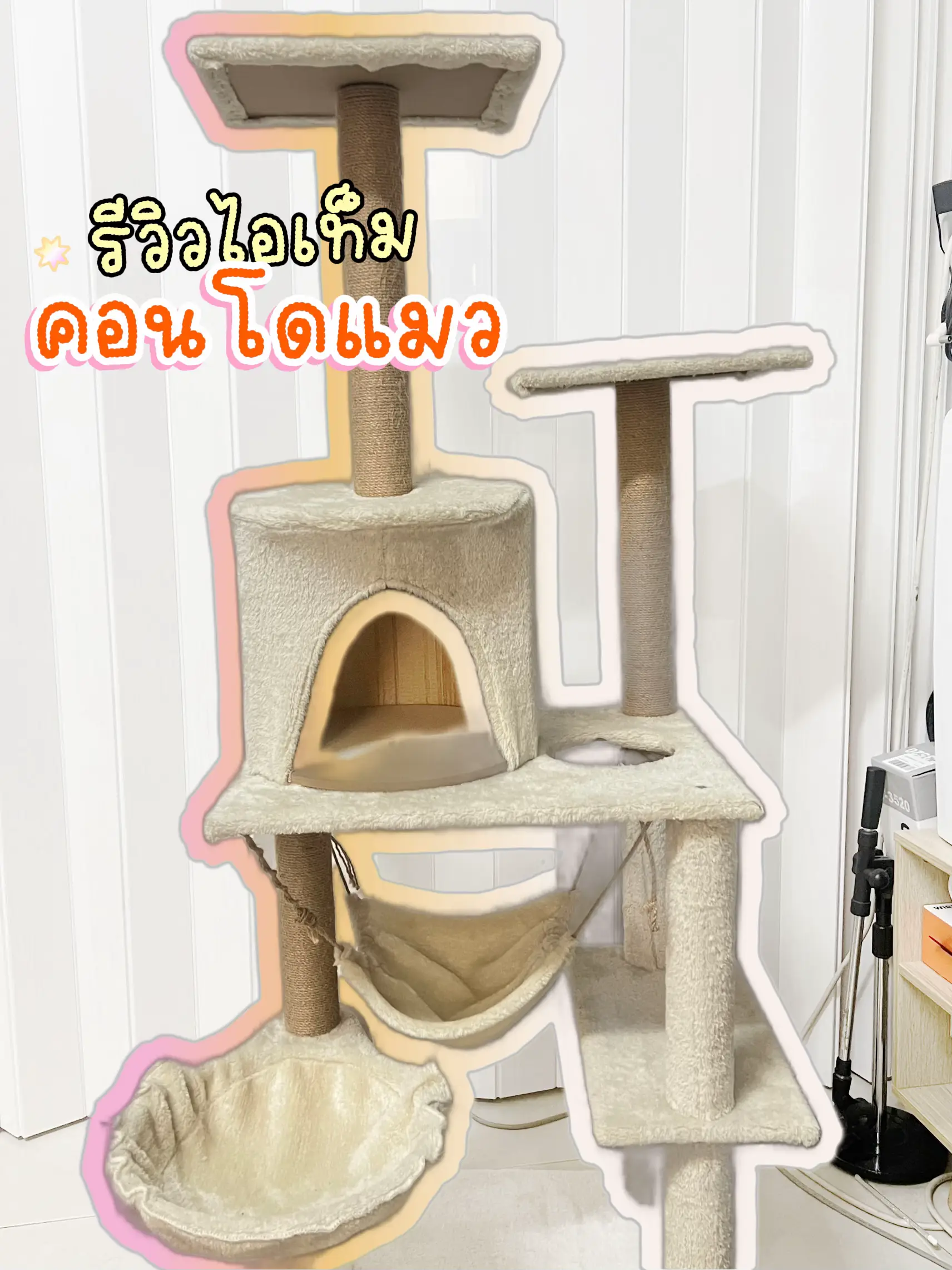 คอนโดแมว | แกลเลอรีที่โพสต์โดย Yves.tt | Lemon8