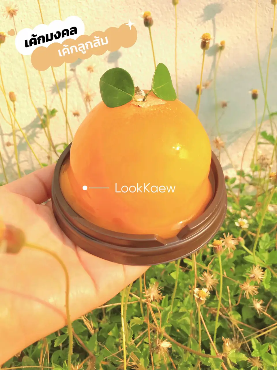 เค้กลูกส้มมงคล | แกลเลอรีที่โพสต์โดย Siri LookKaew | Lemon8