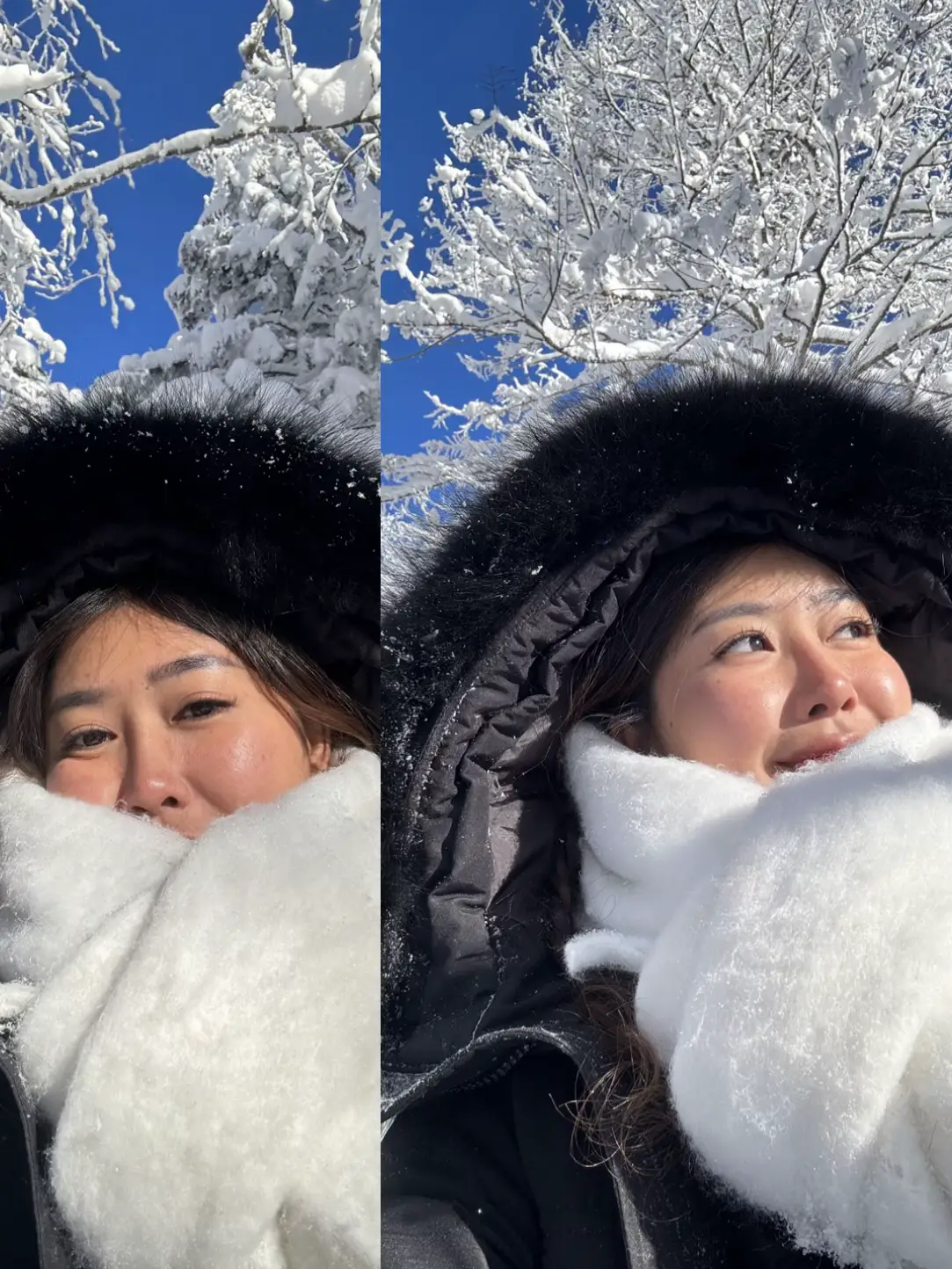 Ice and Snow Gallery สวยเหมือนAi | HARBIN | แกลเลอรีที่โพสต์โดย Sunita Ohiyo | Lemon8