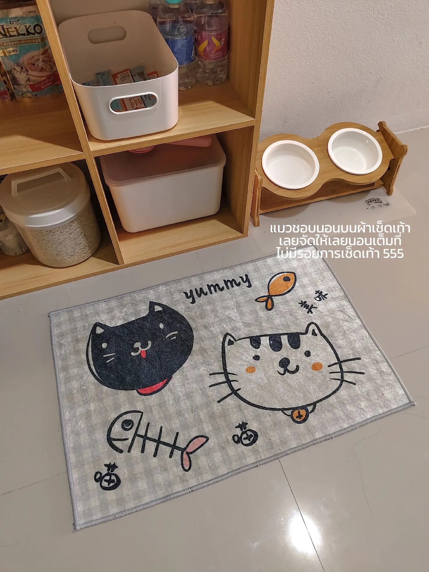 มุมนี้แมวรัก ครัวแมว 🐱 | แกลเลอรีที่โพสต์โดย LADY FANG 🍋 | Lemon8