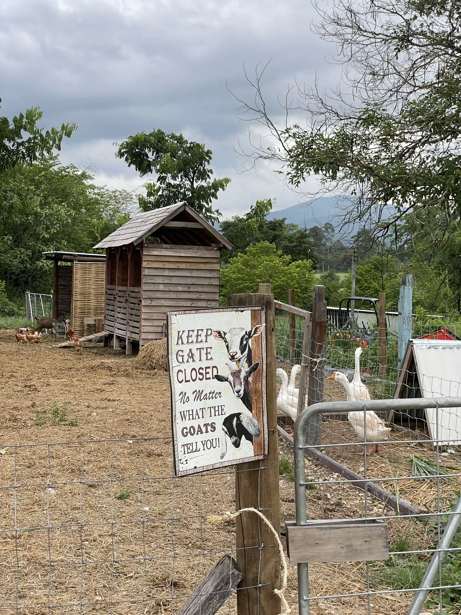 20 ไอเดียยอดนิยมเกี่ยวกับ The Treat Farm Hotel ในปี 2024