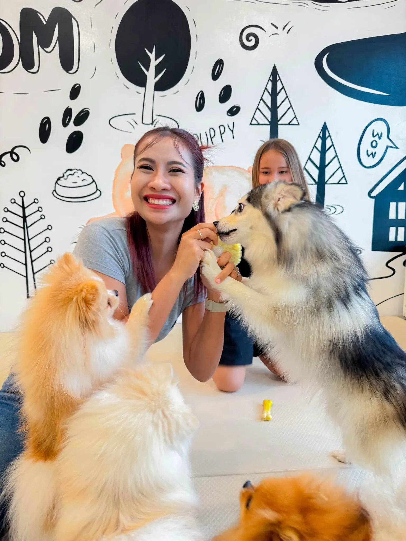 คาเฟ่น้องหมา นครปฐม 🐶 ️ Happy Pom Dog Cafe | แกลเลอรีที่โพสต์โดย TripTH | Lemon8