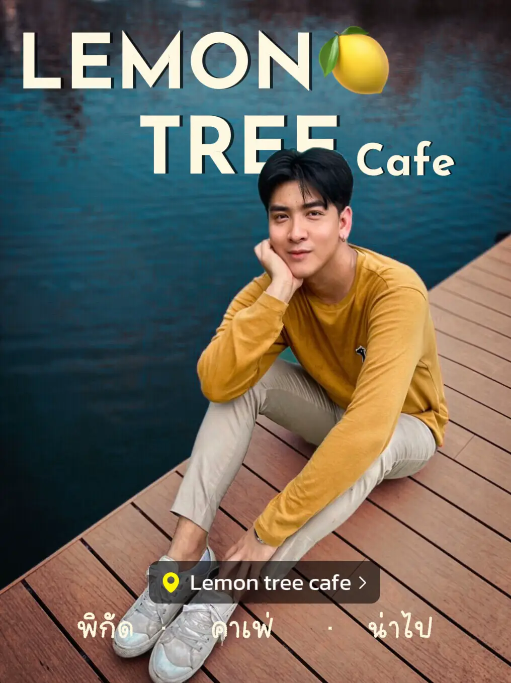 LEMON🍋 TREE Cafe ‘ สายถ่ายรูปต้องไป | แกลเลอรีที่โพสต์โดย Dannyanupon ...