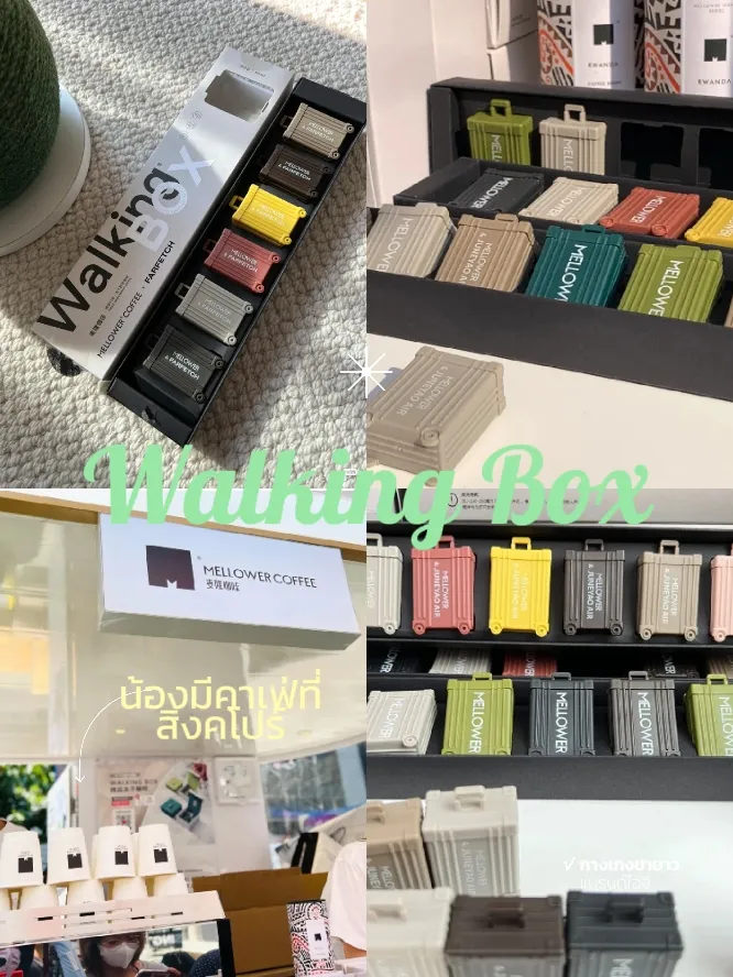 Walking Box | แกลเลอรีที่โพสต์โดย ᴀᴍɪɴᴛɪʏᴀ | Lemon8