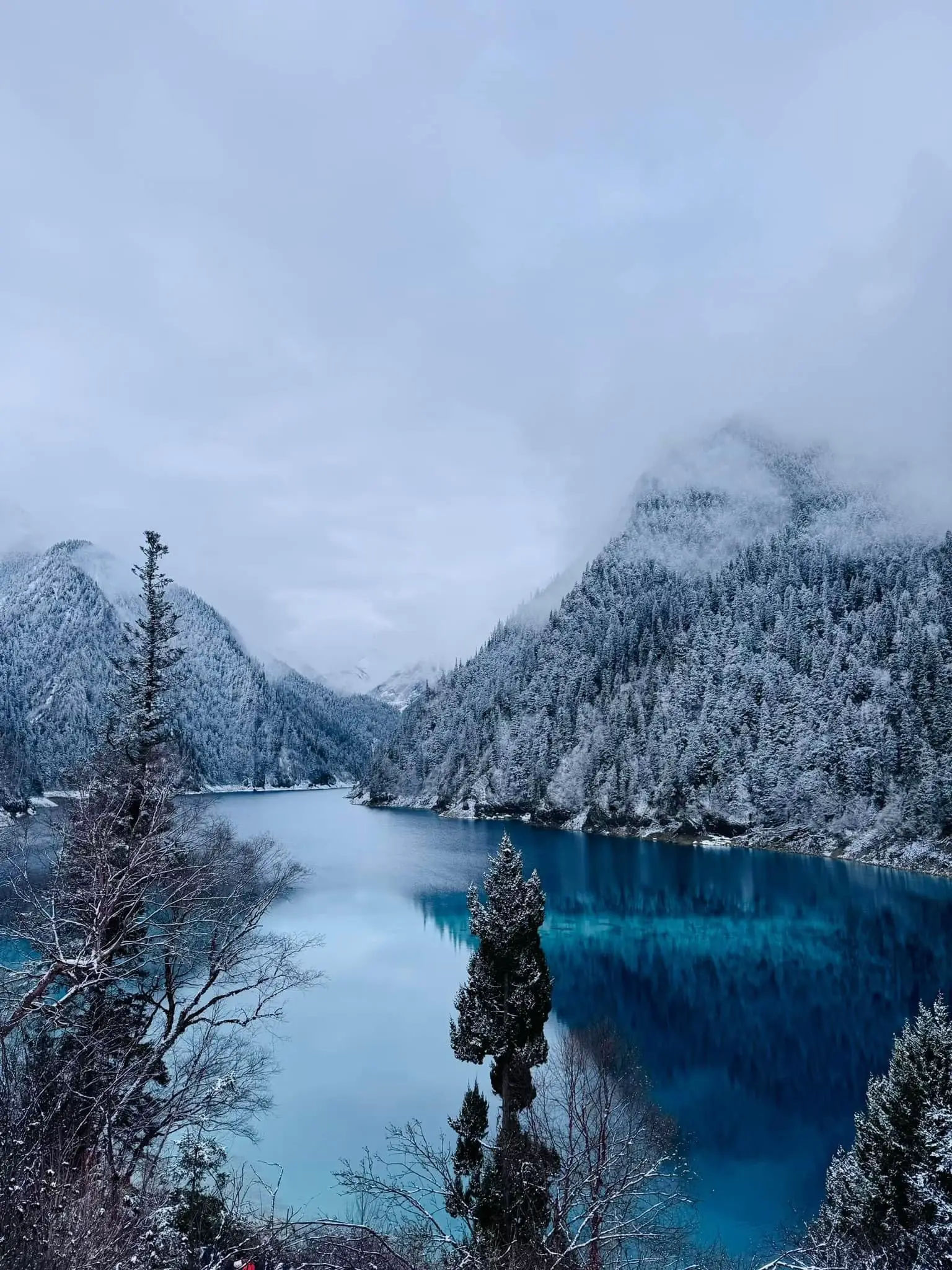 เจอกันใหม่นะจิ่วจ้ายโกว | แกลเลอรีที่โพสต์โดย PLOYPATCHA | Lemon8