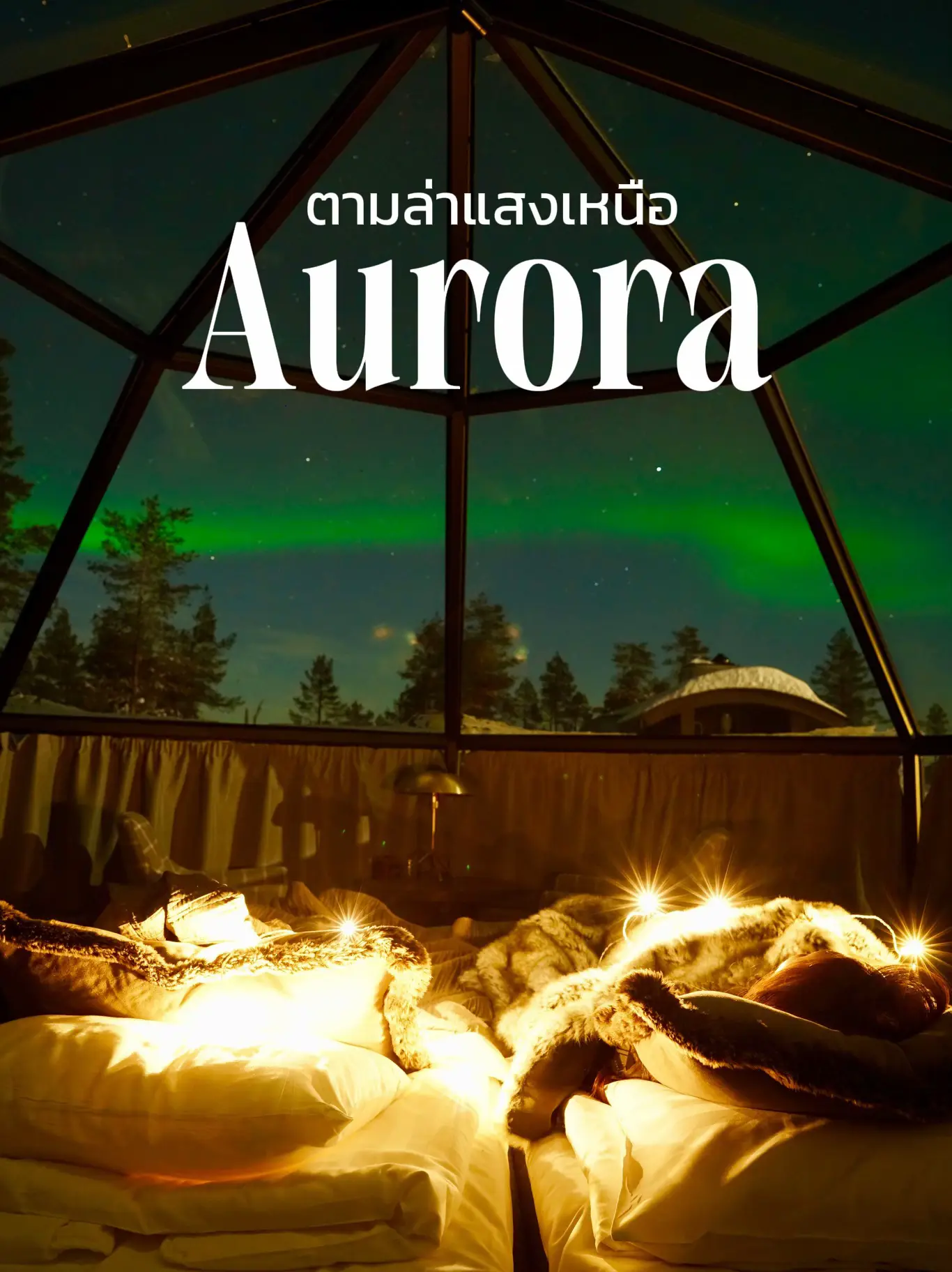 Hunt the Northern Lights.. Worldwide! | Gallery posted by UnithaiTrip | Lemon8