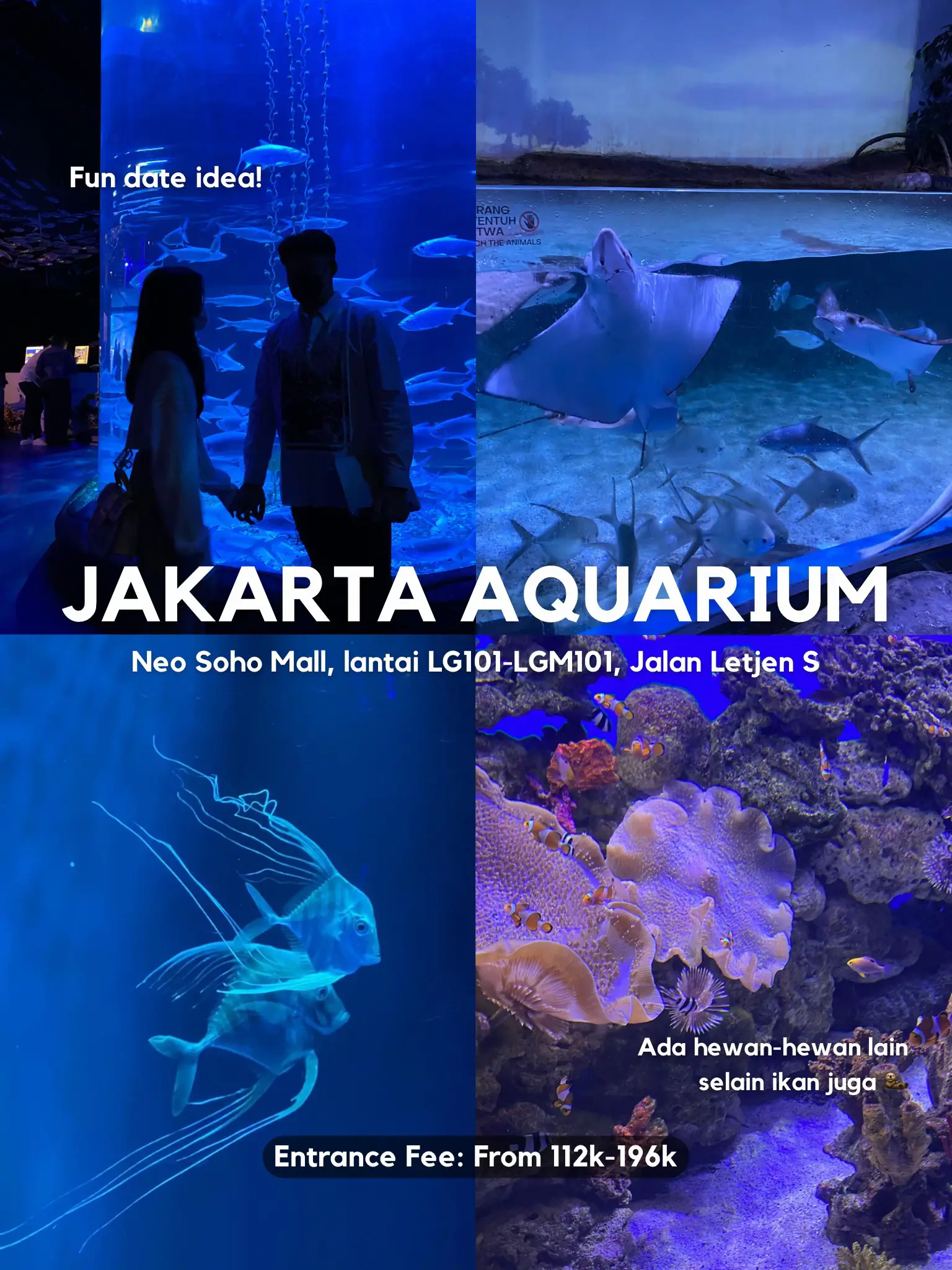 ONLY 4D3N IN JAKARTA! SEMPET KEMANA AJA?! ️ | Galeri diposting oleh clarissa🌷⋆·˚ ༘ | Lemon8