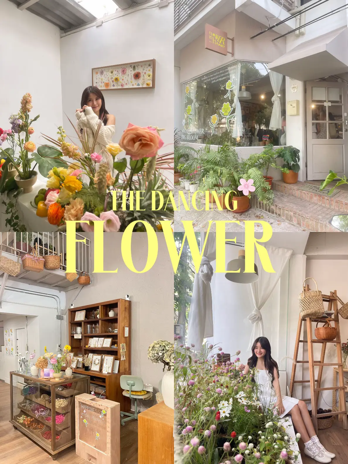 EXHIBITION THE DANCING FLOWER🌻🌸 | แกลเลอรีที่โพสต์โดย Mmmean | Lemon8
