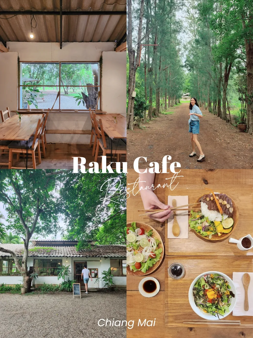 ร้านอาหารญี่ปุ่นกลางสวนสน | Raku Cafe Restaurant | แกลเลอรีที่โพสต์โดย poppyblossom | Lemon8