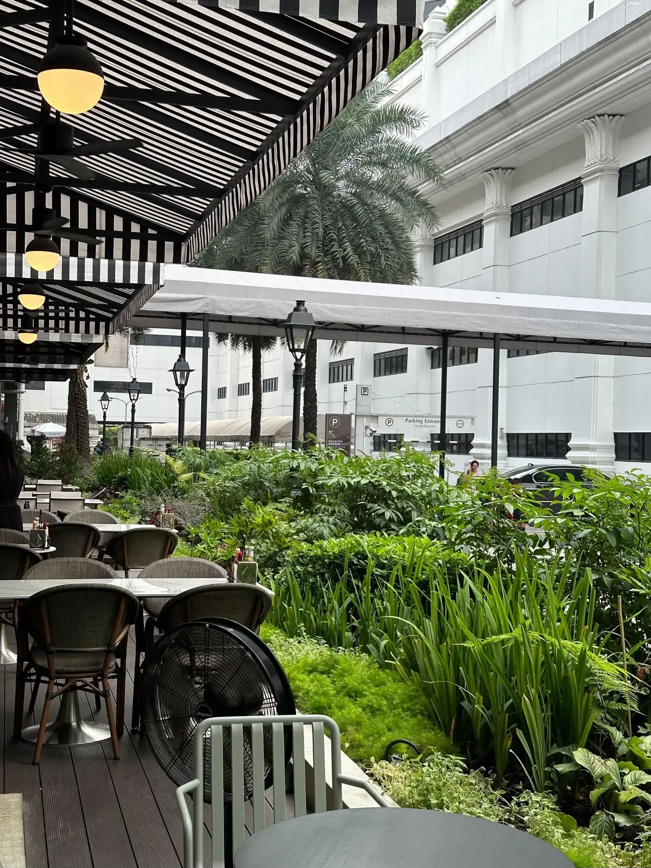 Plantiful Café | สายคอนเทนท์ห้ามพลาด | แกลเลอรีที่โพสต์โดย babypair🍒 ...