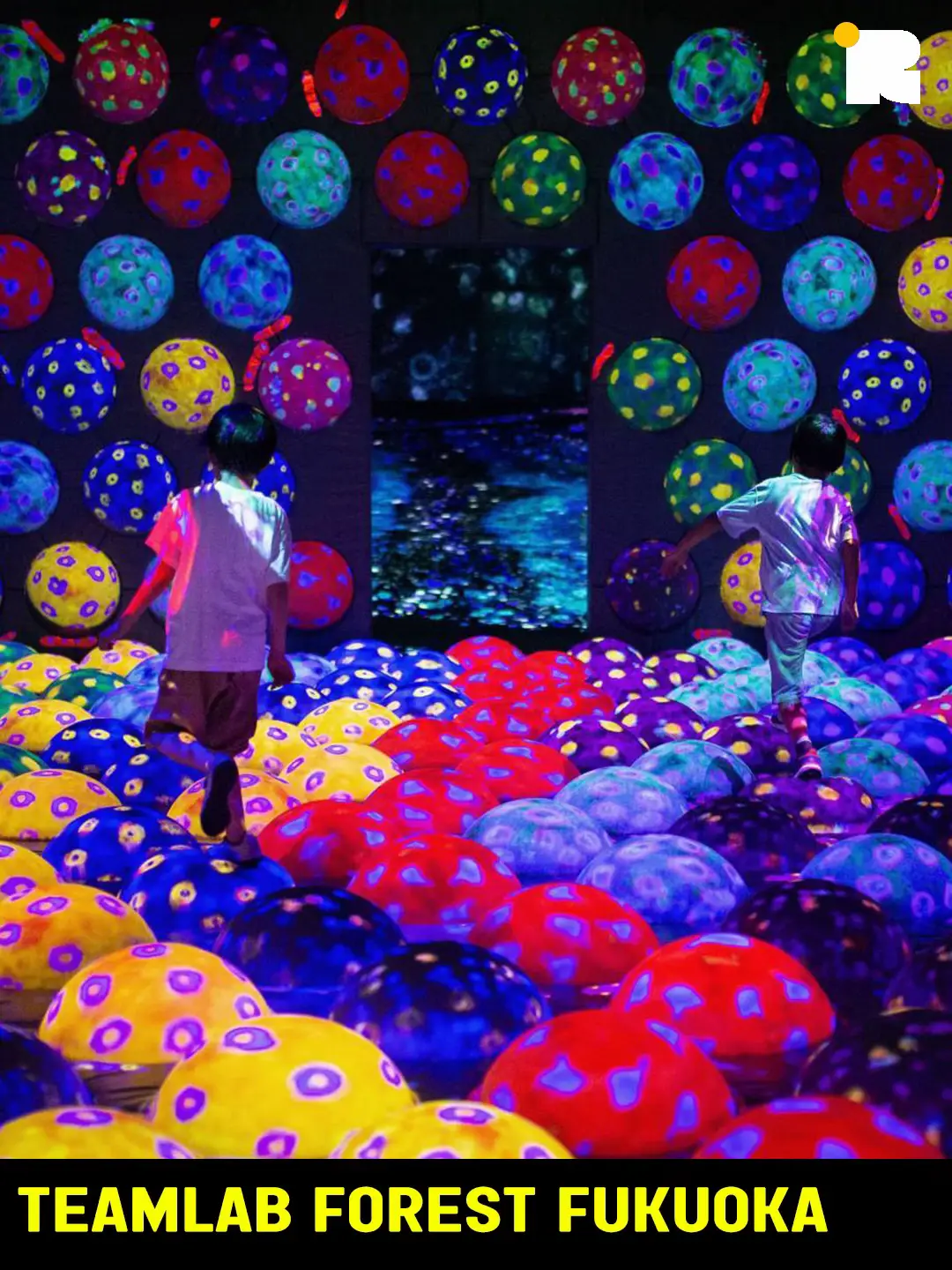 ออกไปเยี่ยม 9 งานสุดล้ำจาก teamLab ที่จัดแสดงอยู่ตอนนี้กัน! | แกลเลอรีที่โพสต์โดย Routeen. | Lemon8