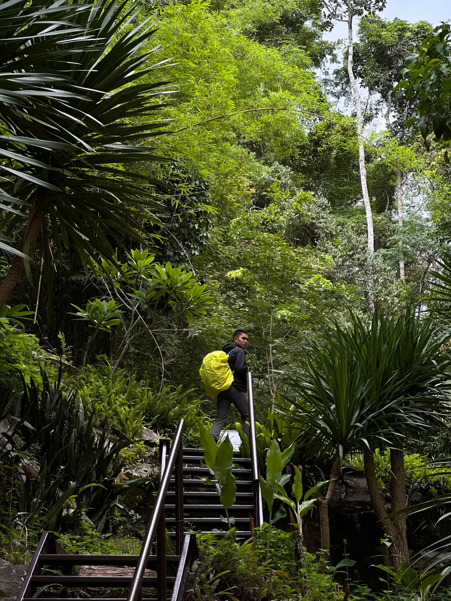 Walk Your Path - การค้นหาใน Lemon8