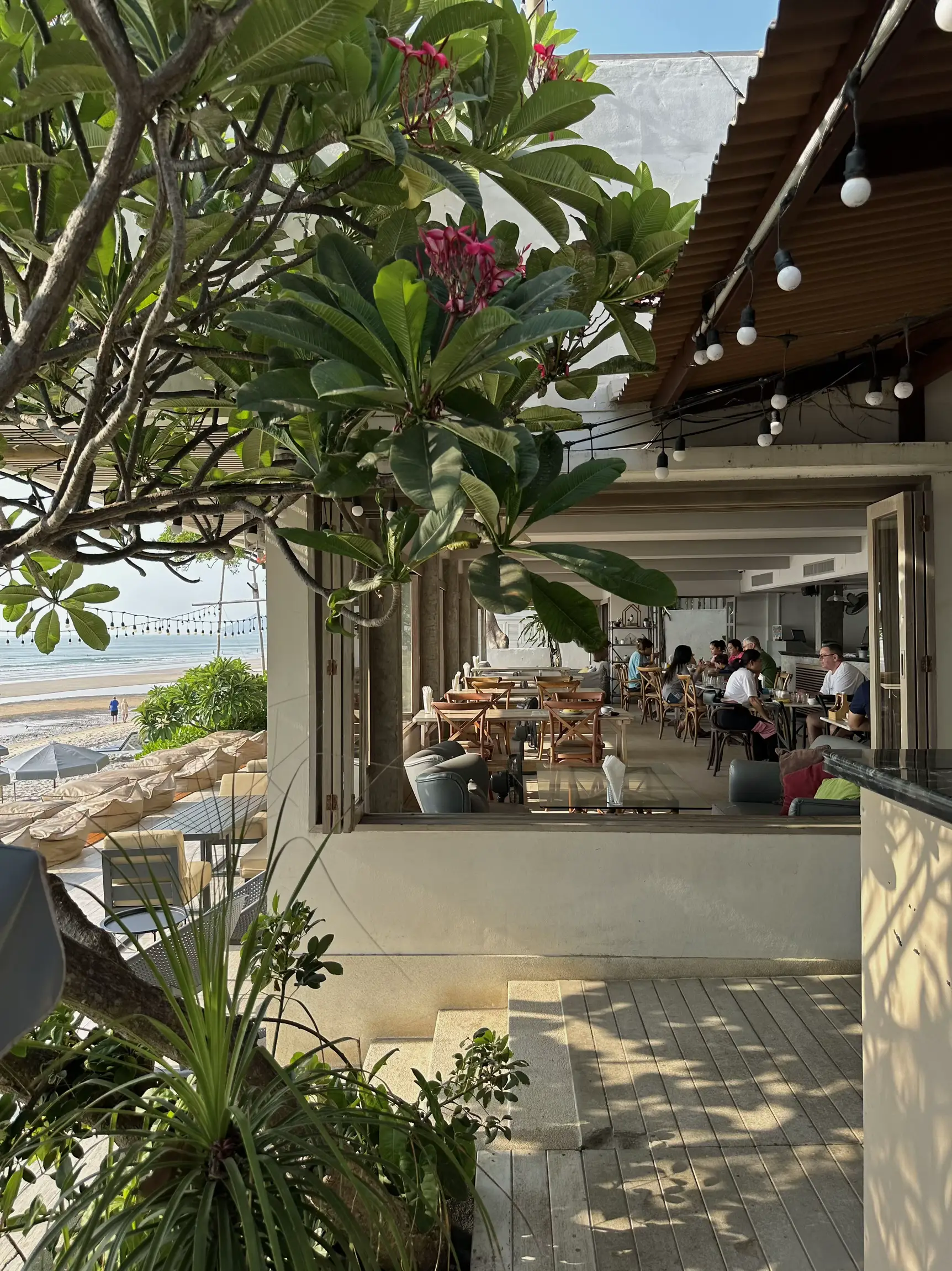 🌊🍃ร้านกาแฟน่ารักๆ at หัวหิน🌴 Drip Rim Lay, Hua Hin☕️🐈 | แกลเลอรีที่ ...