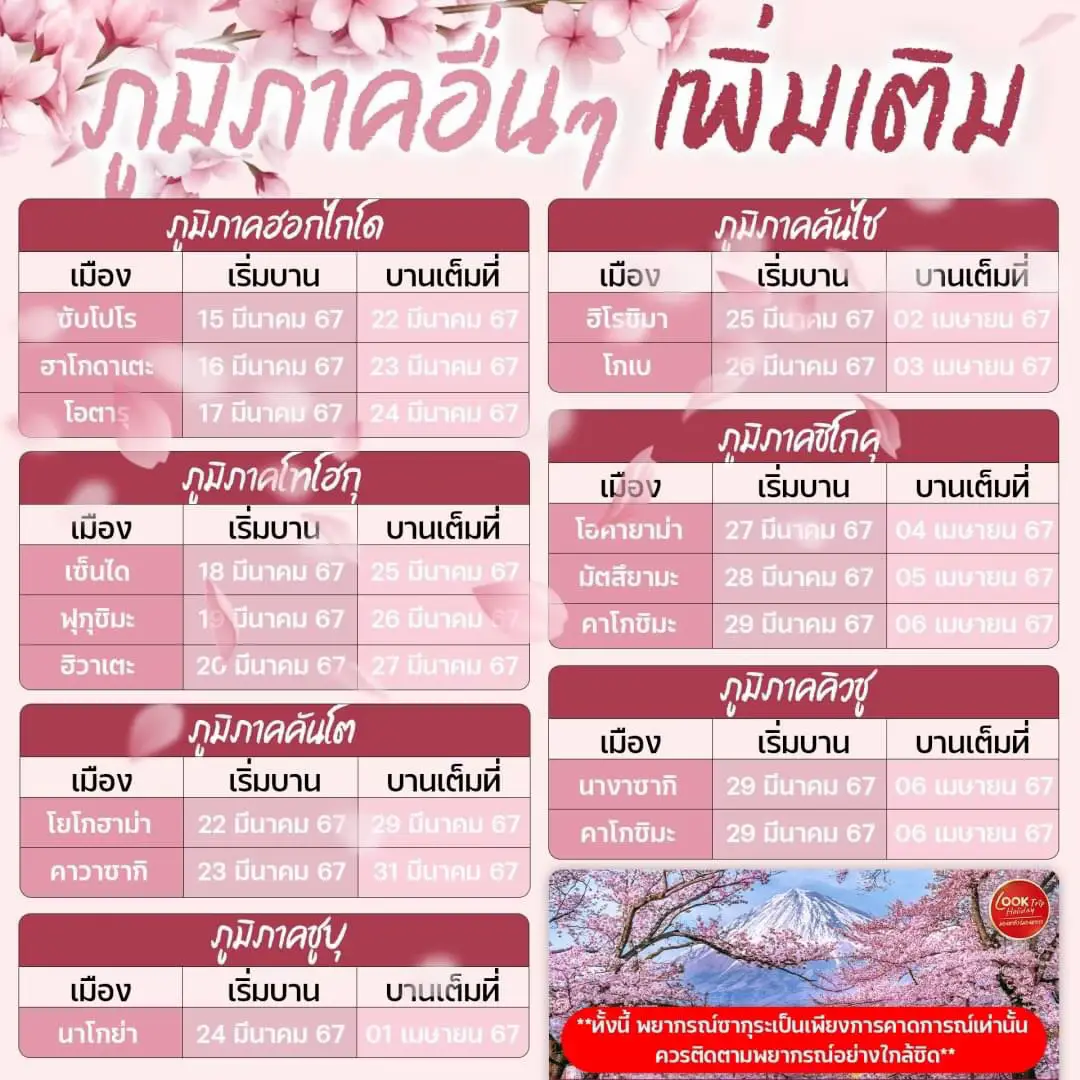 🌸มาแล้ว!! พยากรณ์ดอกซากุระที่ญี่ปุ่น ปี 2024🎌 | แกลเลอรีที่โพสต์โดย looktripholiday | Lemon8