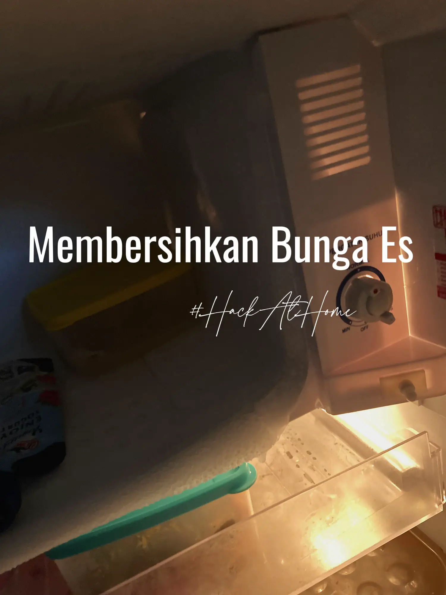 Cara Membersihkan Bunga Es | Galeri disiarkan oleh Rinta | Lemon8