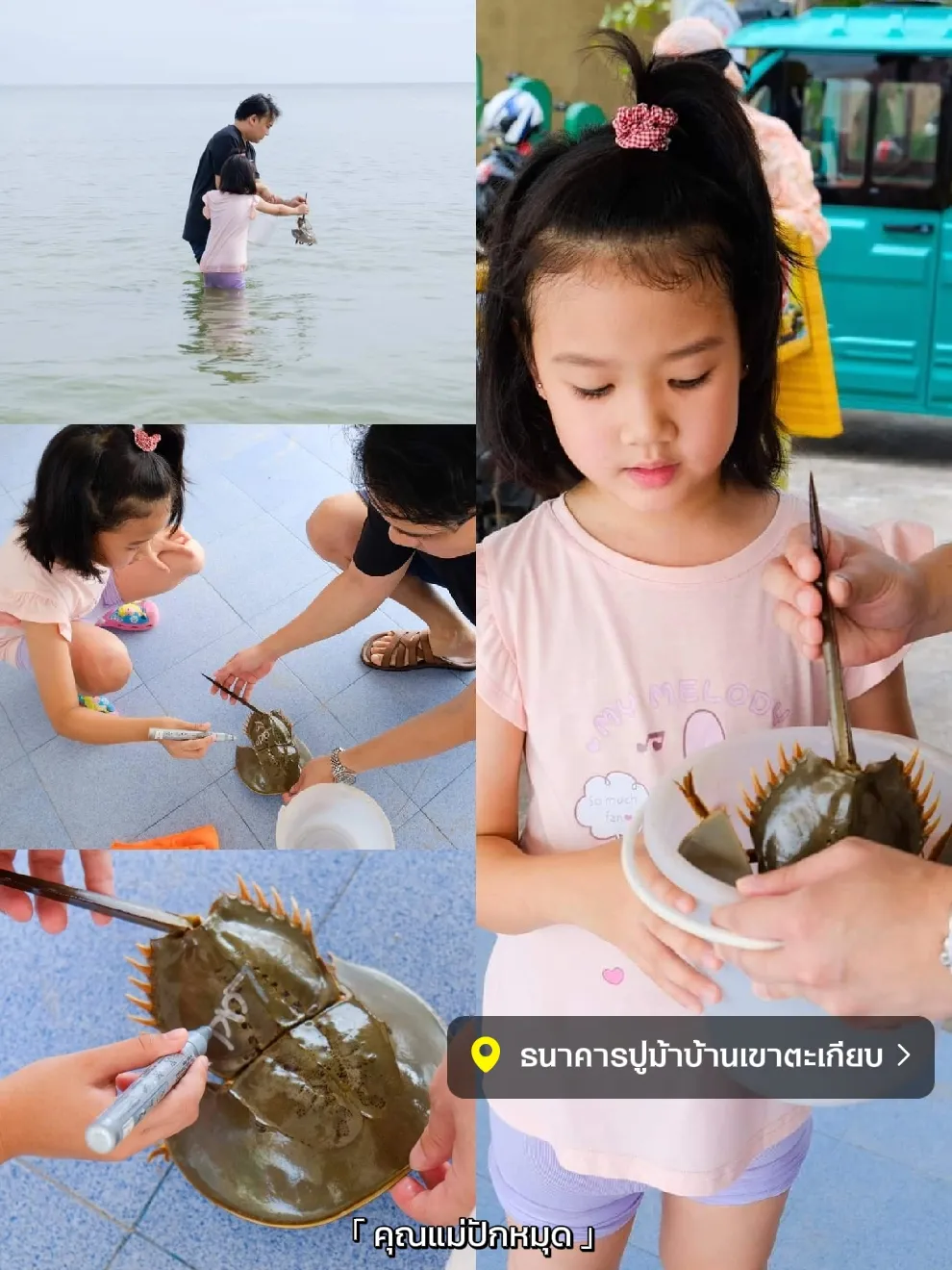 8 พิกัดที่เที่ยวเด็ก ฟรี!! Ep.3 | แกลเลอรีที่โพสต์โดย Mamapinpoint | Lemon8