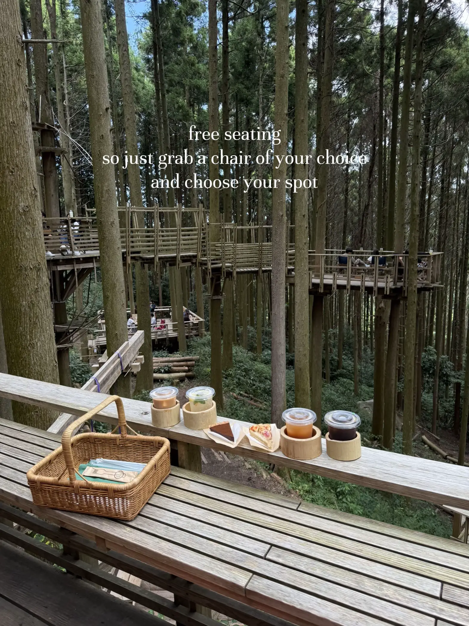 the only forest cafe you need to visit in Japan!!🐿️ | Gallery posted by ...