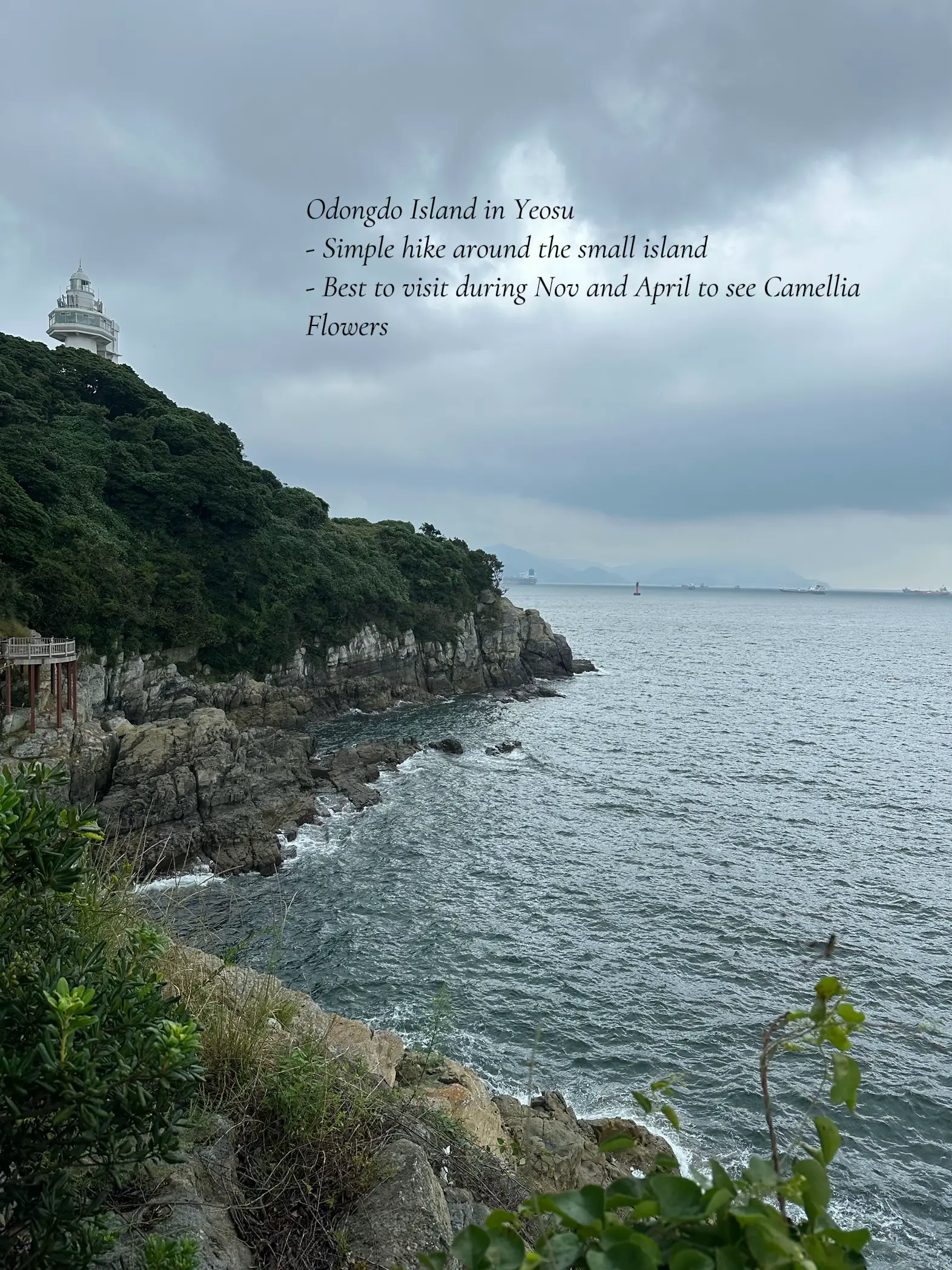 Less Touristy Cities in South Korea | Gallery posted by Nat | Lemon8